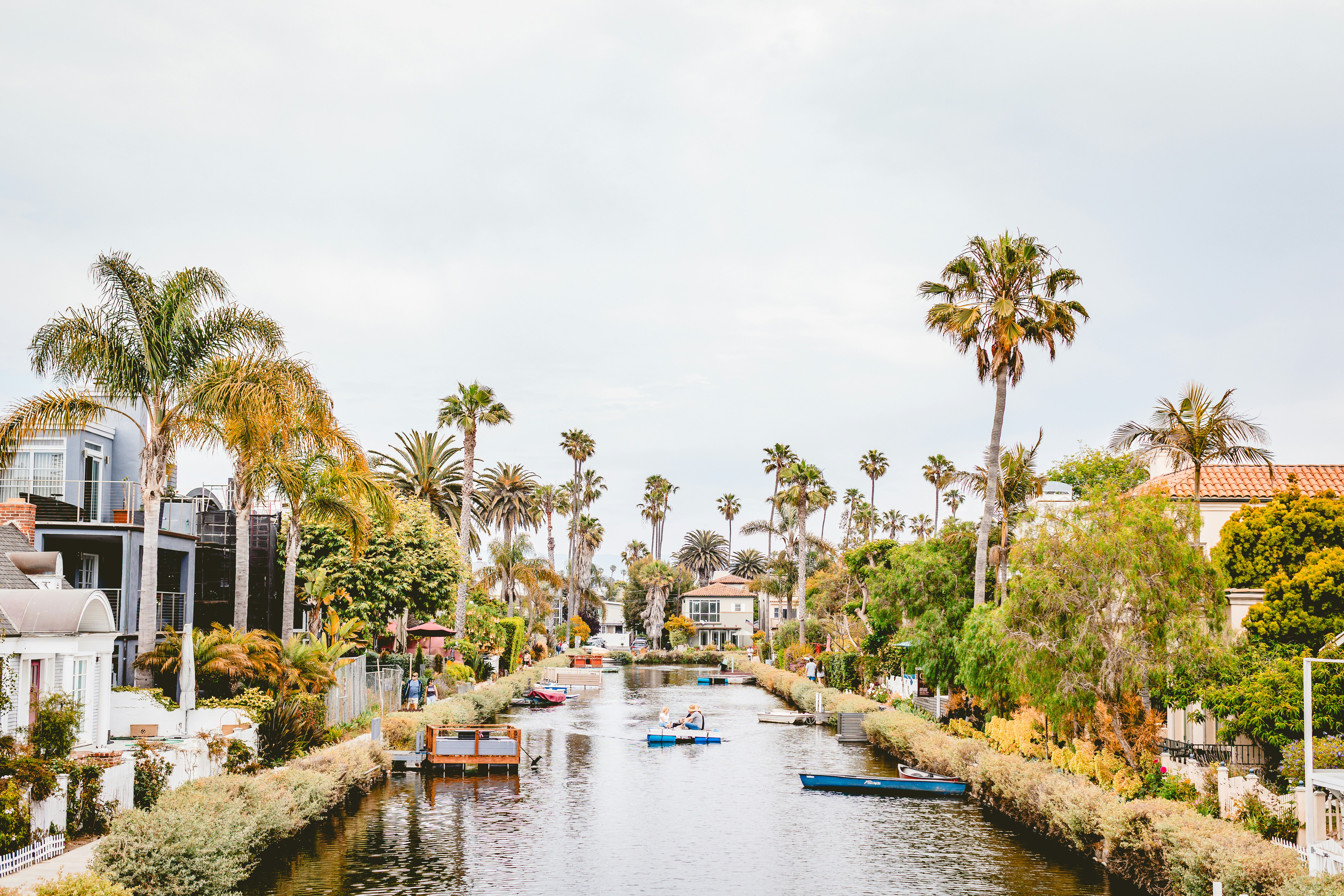 Palm tree-lined canal with boats on a cloudy day. photo – Free Beach ...
