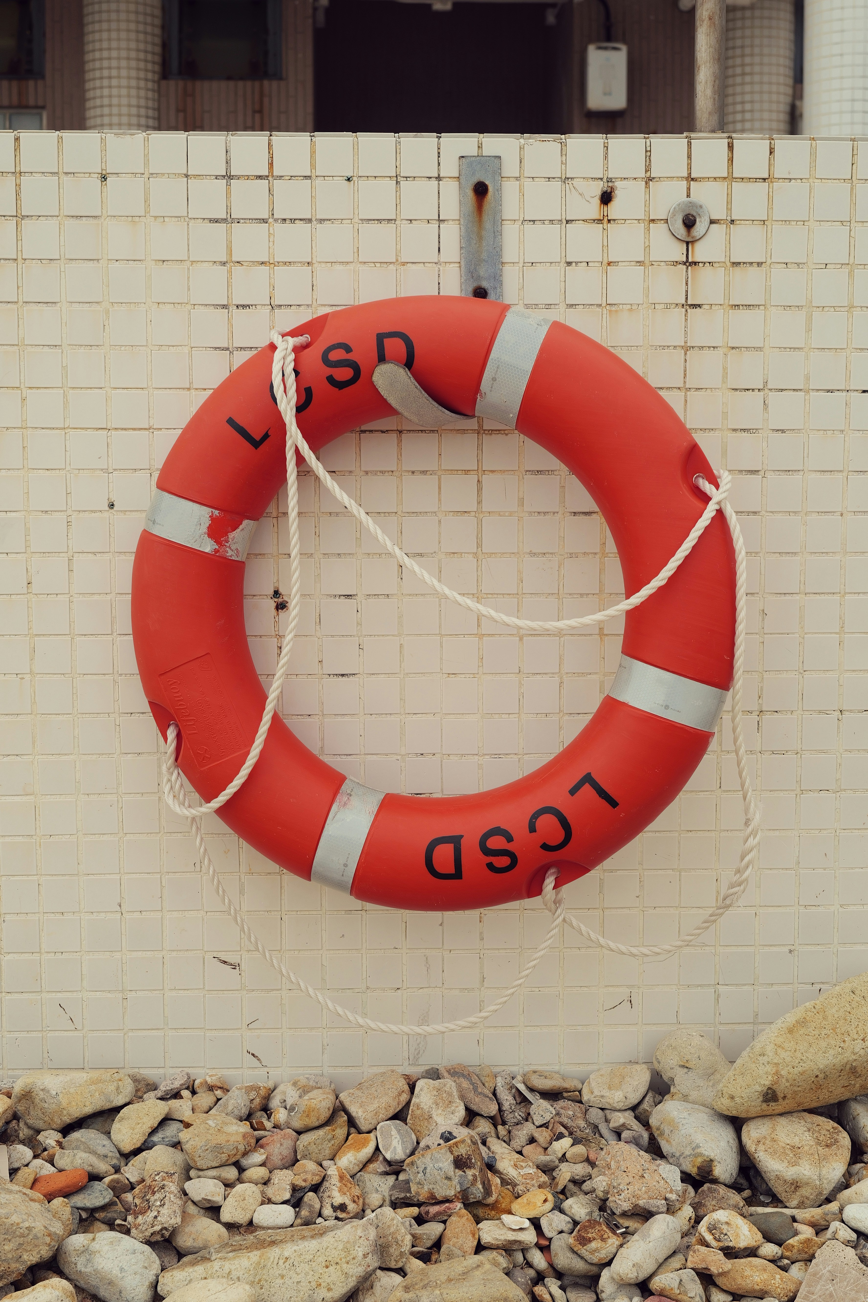 Circle of Safety: The Lifebuoy's Silent Vigil