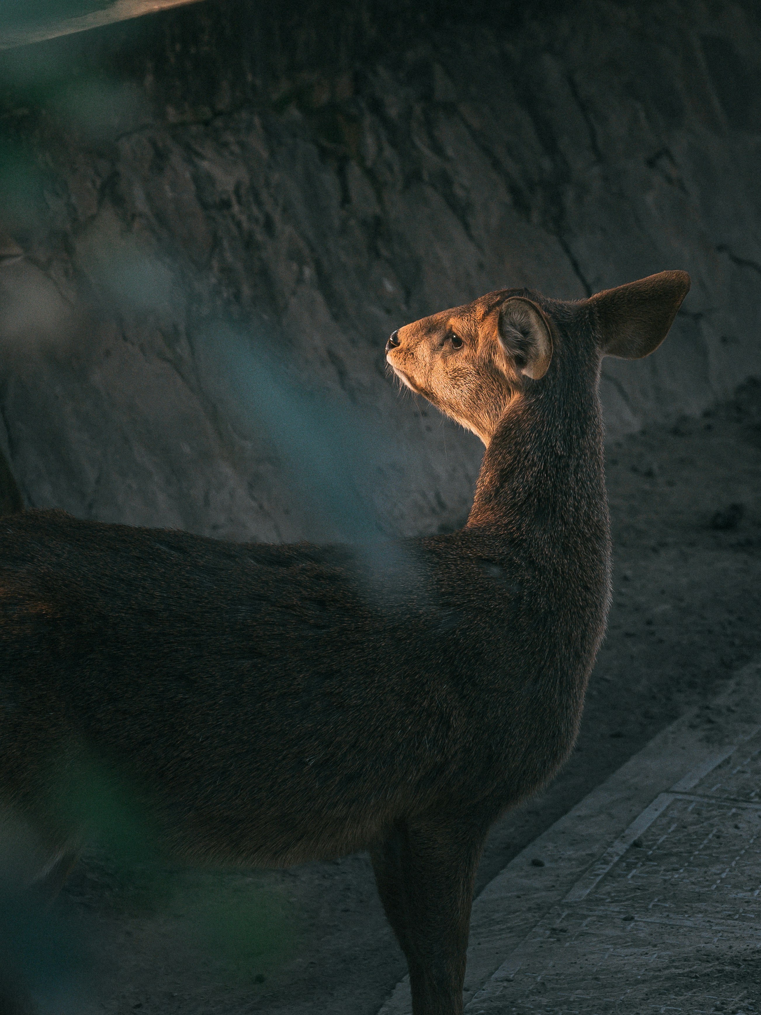 Photo by casey chou with Nikon Zf