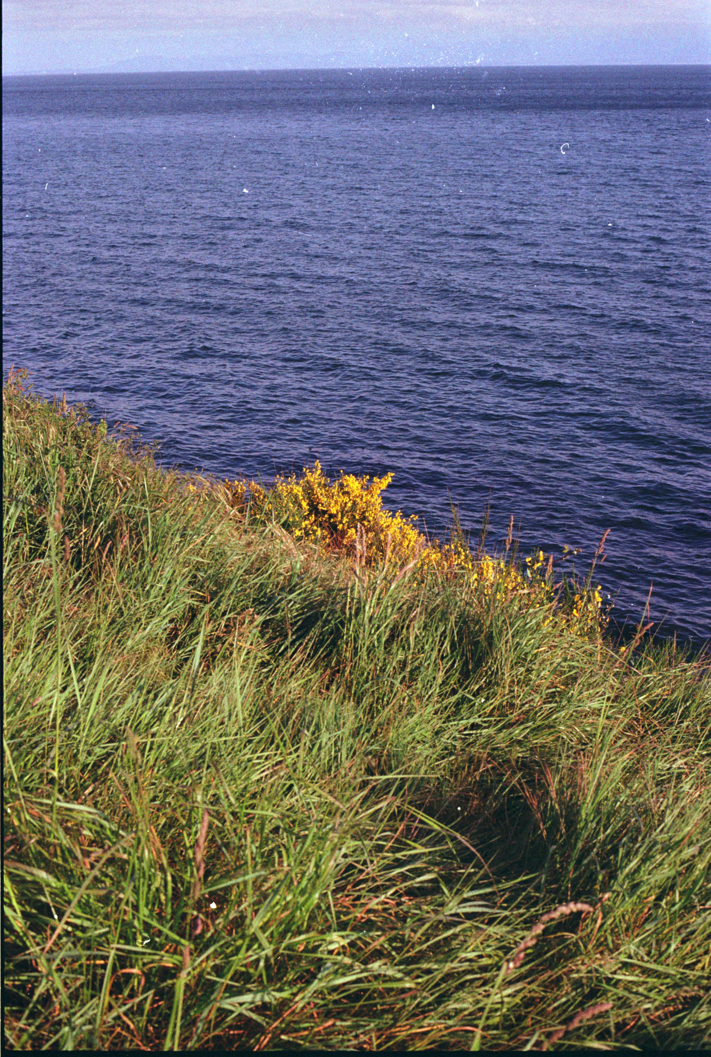 Green grass and water meet at the cliff's edge.