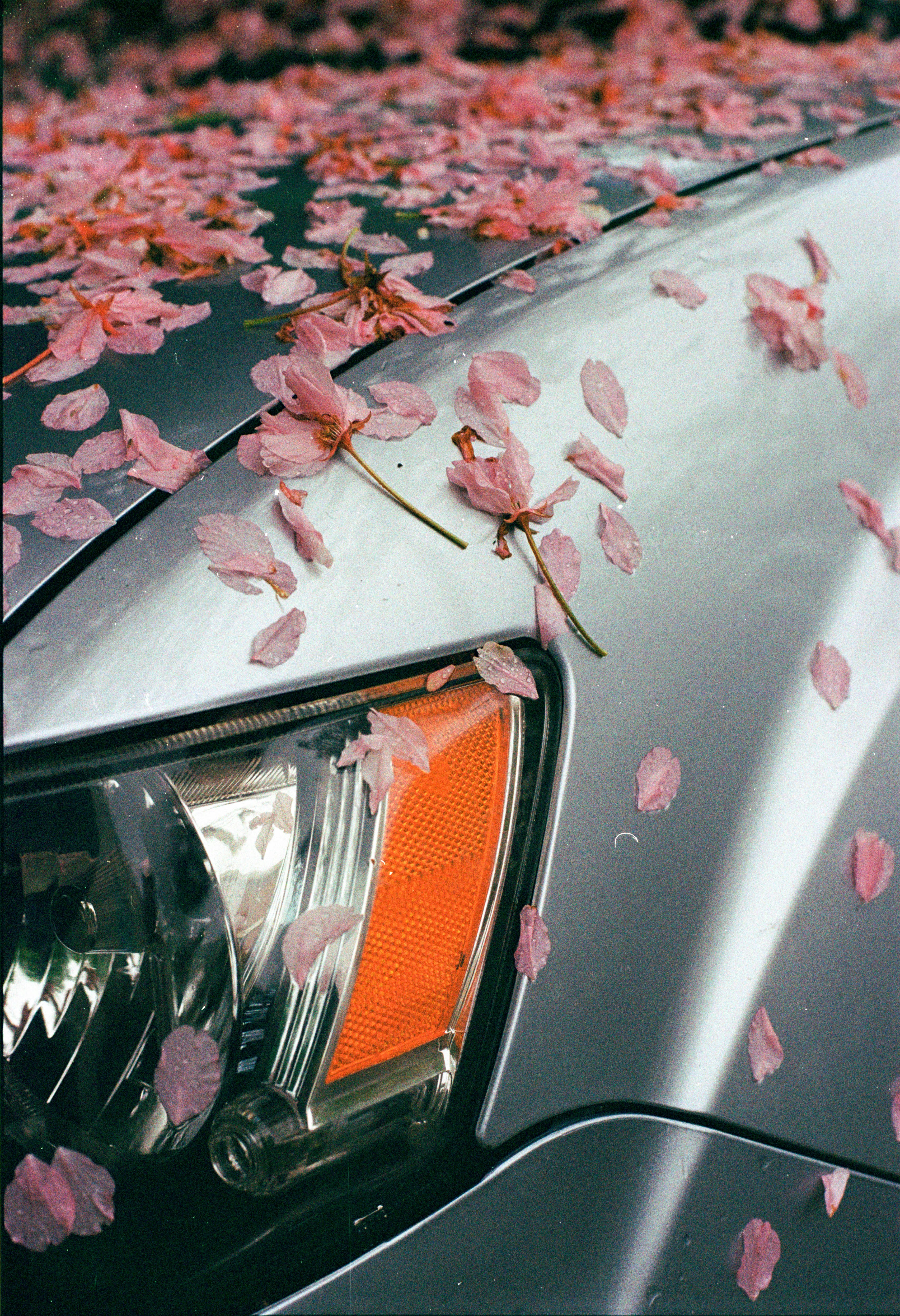 Photo by Atul Vinayak with Plustek OpticFilm 8100