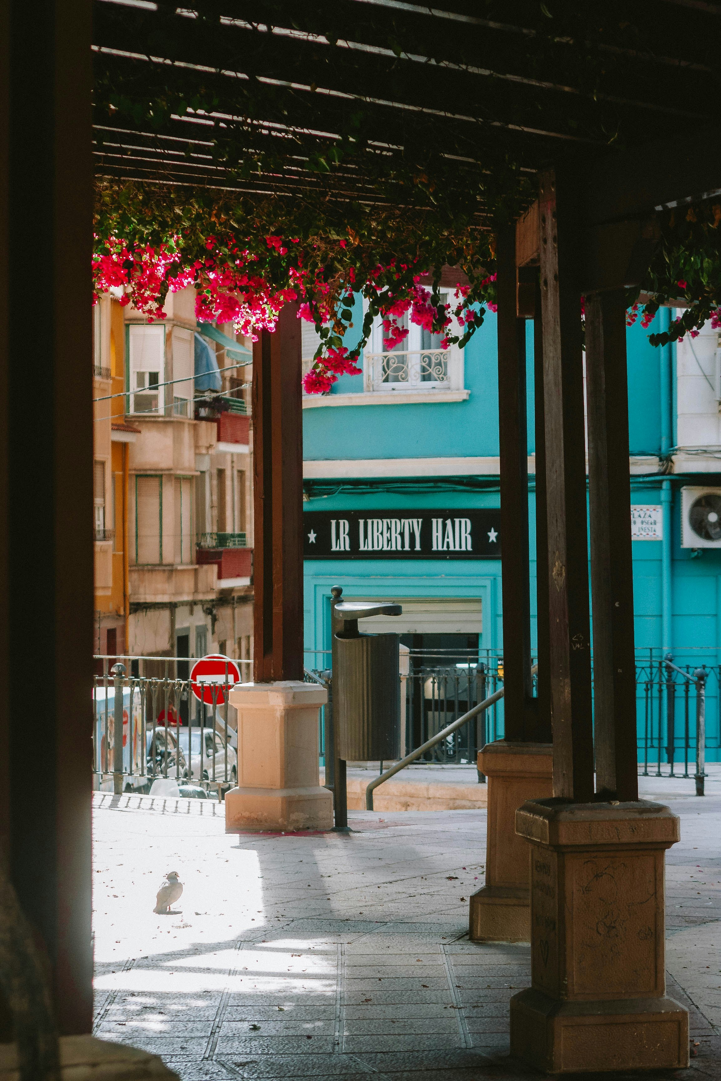 A Glimpse of Urban Serenity