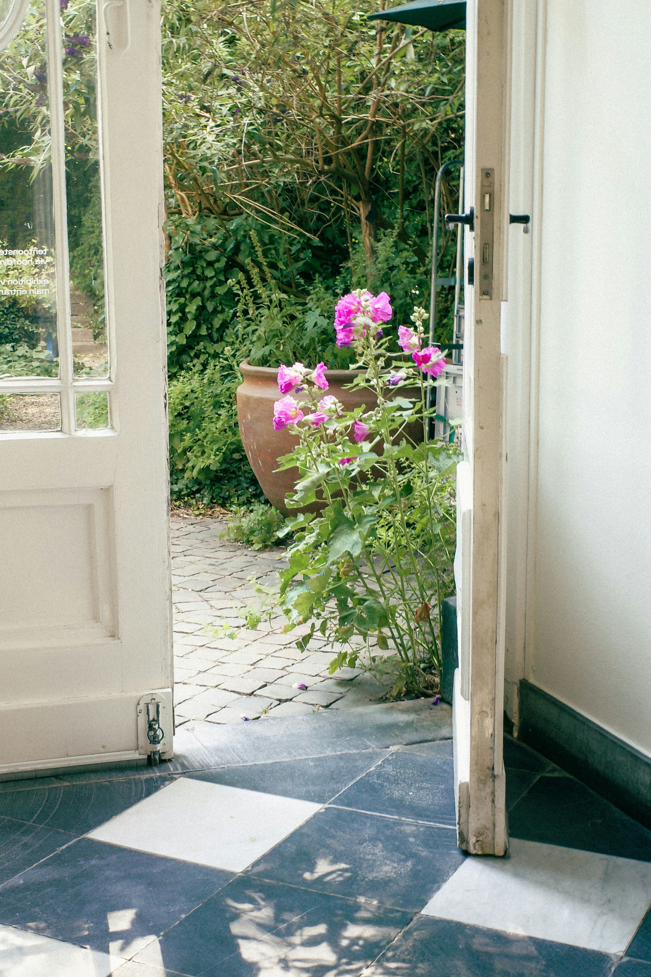 A vibrant cluster of pink flowers peeks through an open door, inviting viewers to explore the lush garden beyond. The contrasting checkered floor adds a touch of charm.