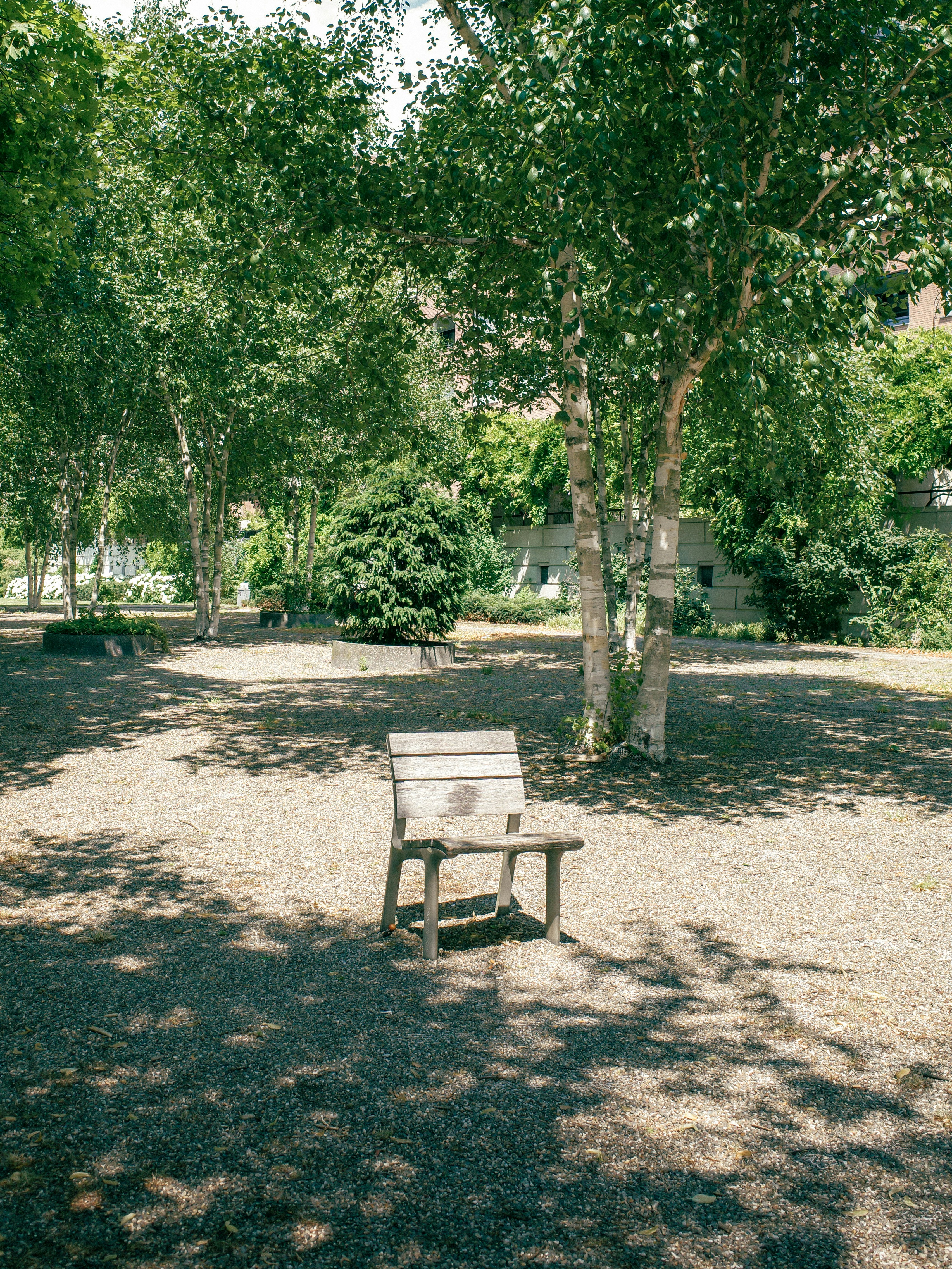 A Solitary Retreat Amidst Nature's Embrace