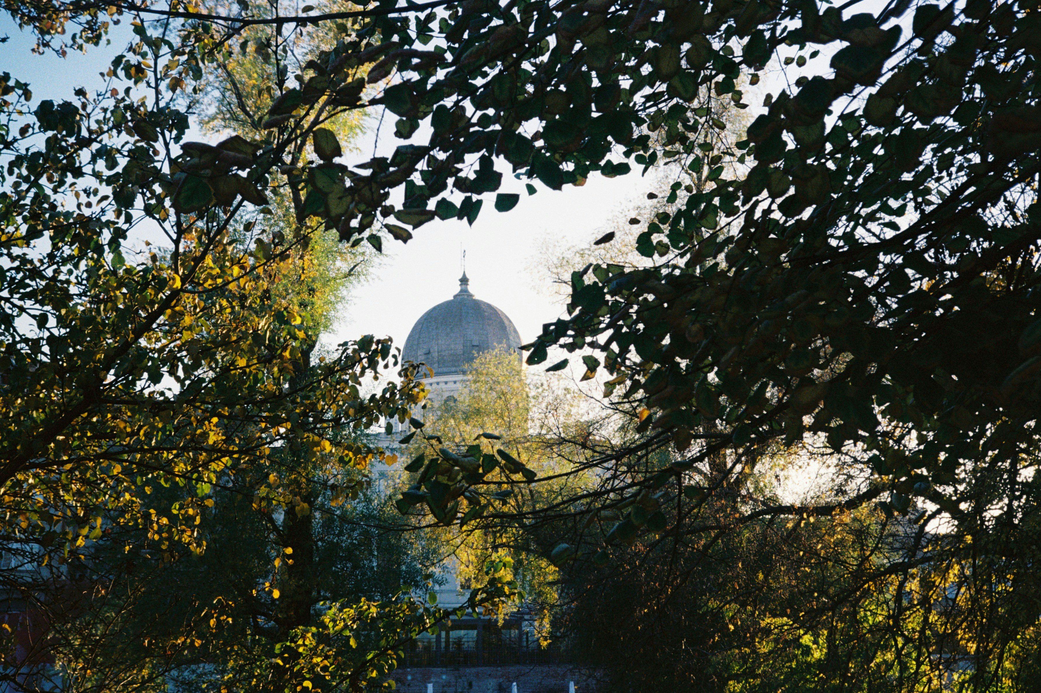 There's a certain magic in film photography - the waiting, the texture, the timeless feel! | Trees frame a building with a dome.