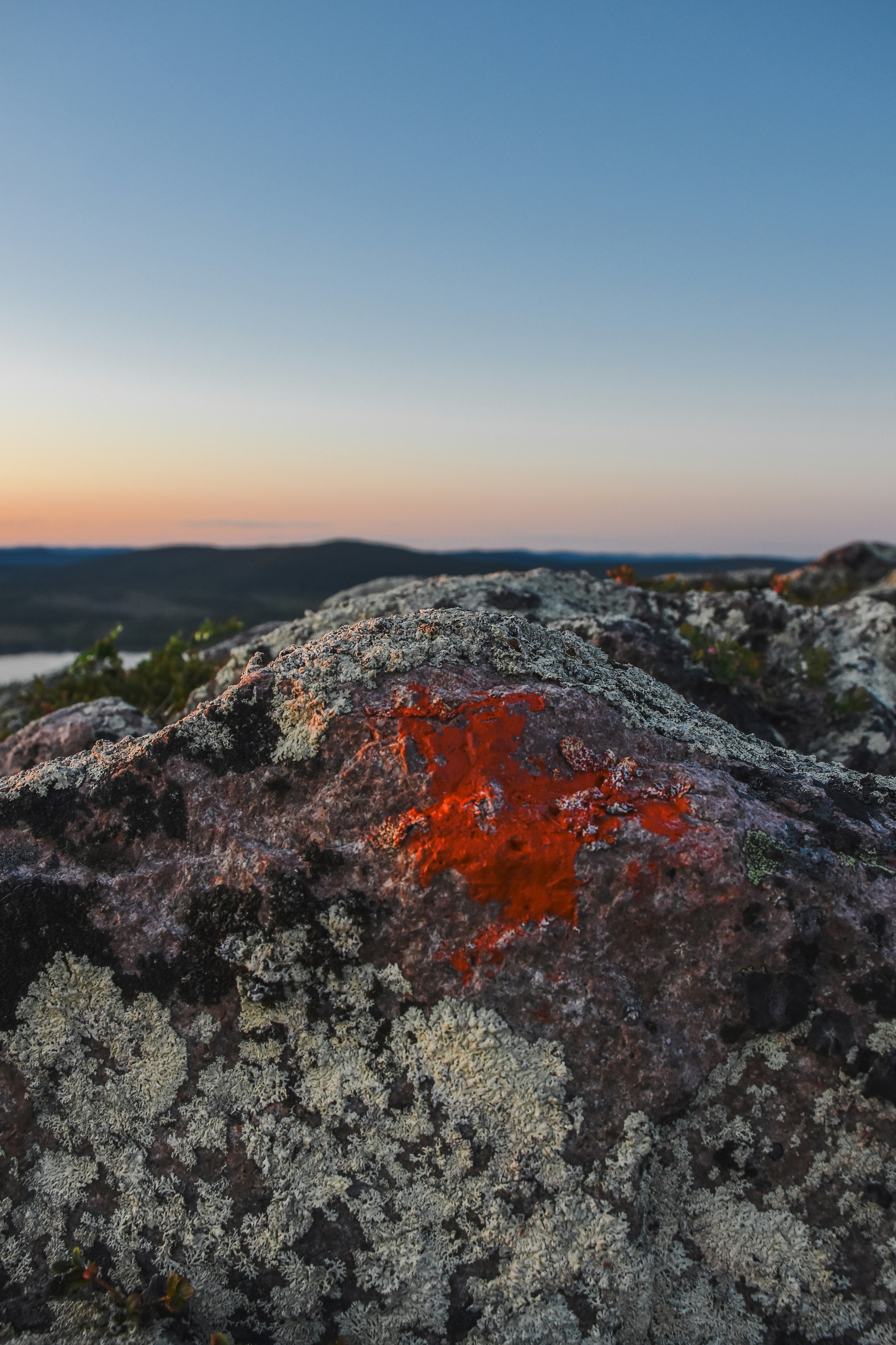 Lichened Crag at Dusk: Red Patch with a Distant Horizon
