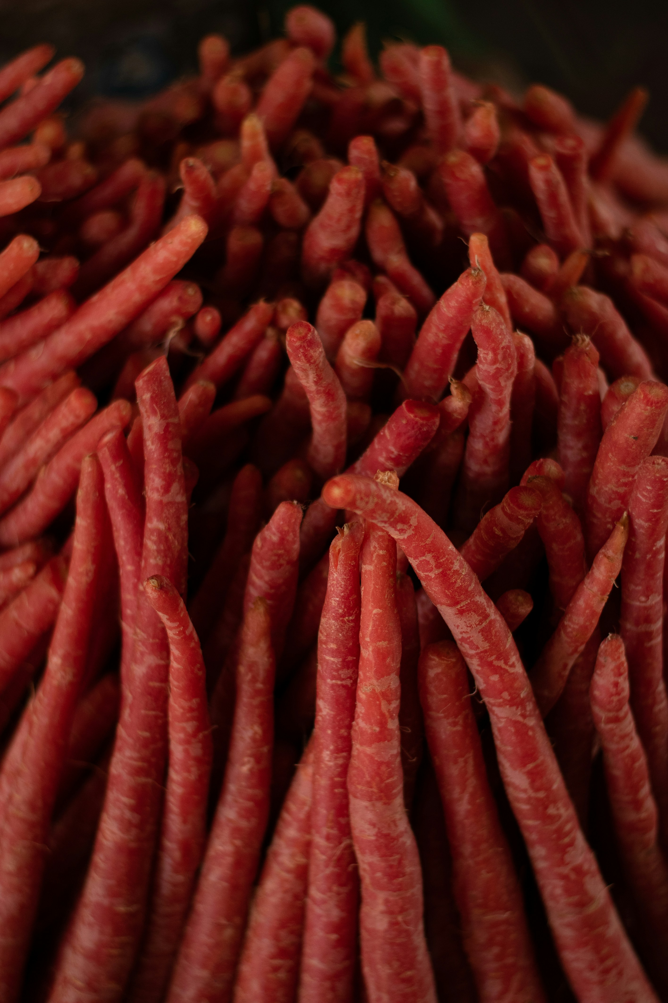 Crimson Harmony: A Root Vegetable Symphony