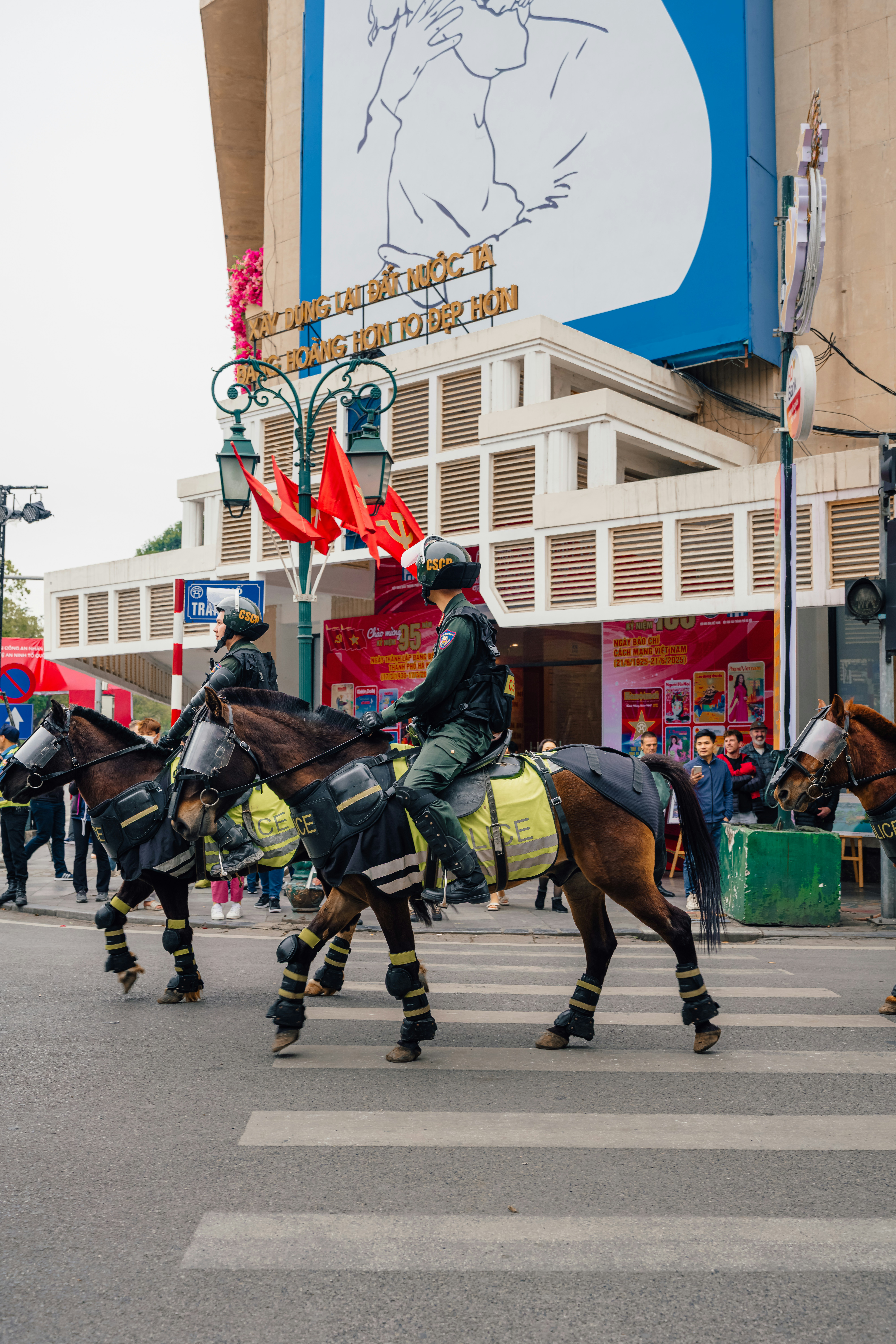 Urban Harmony: The Equine Guardians