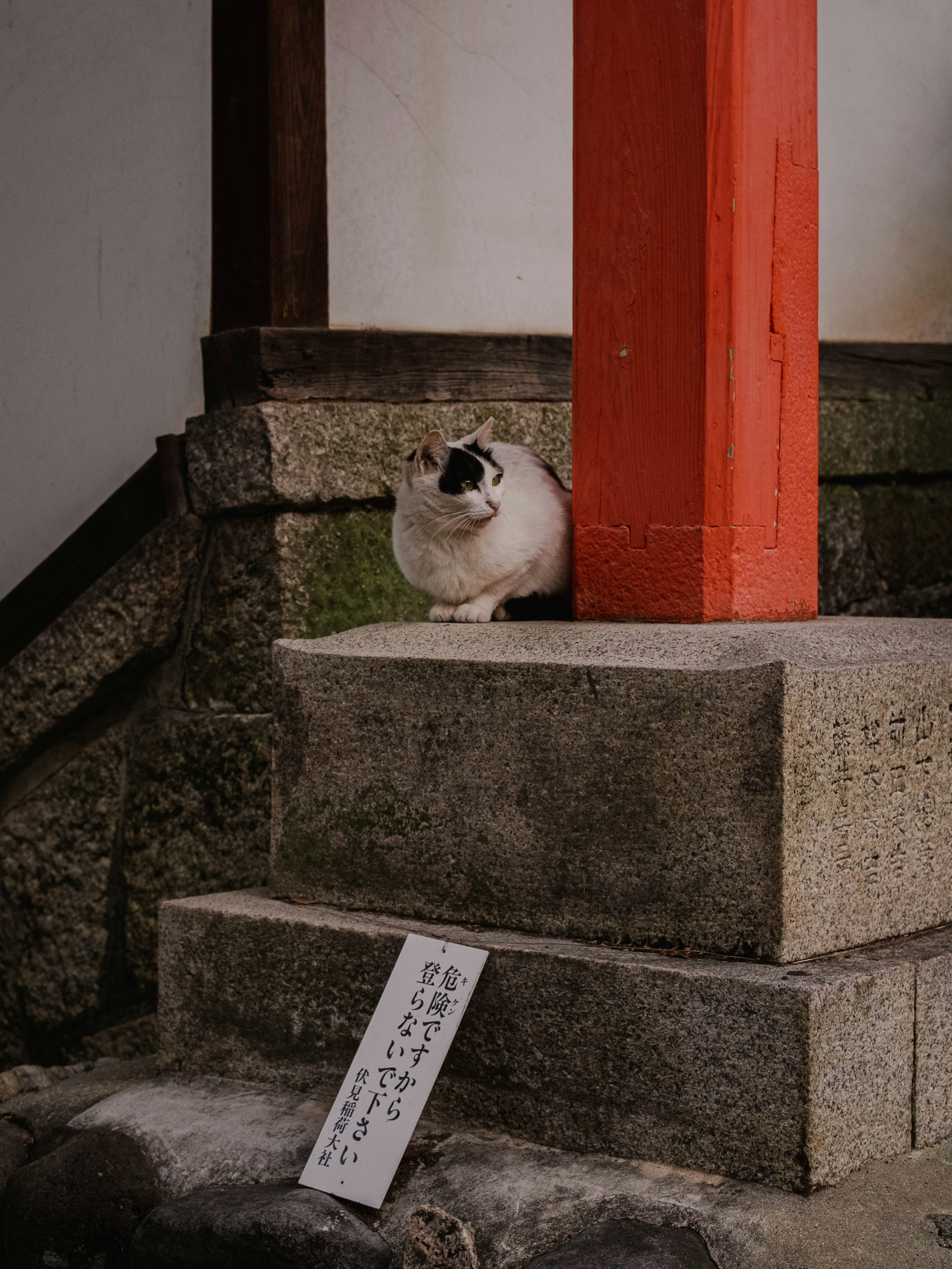 Whiskered Guardian of the Shrine