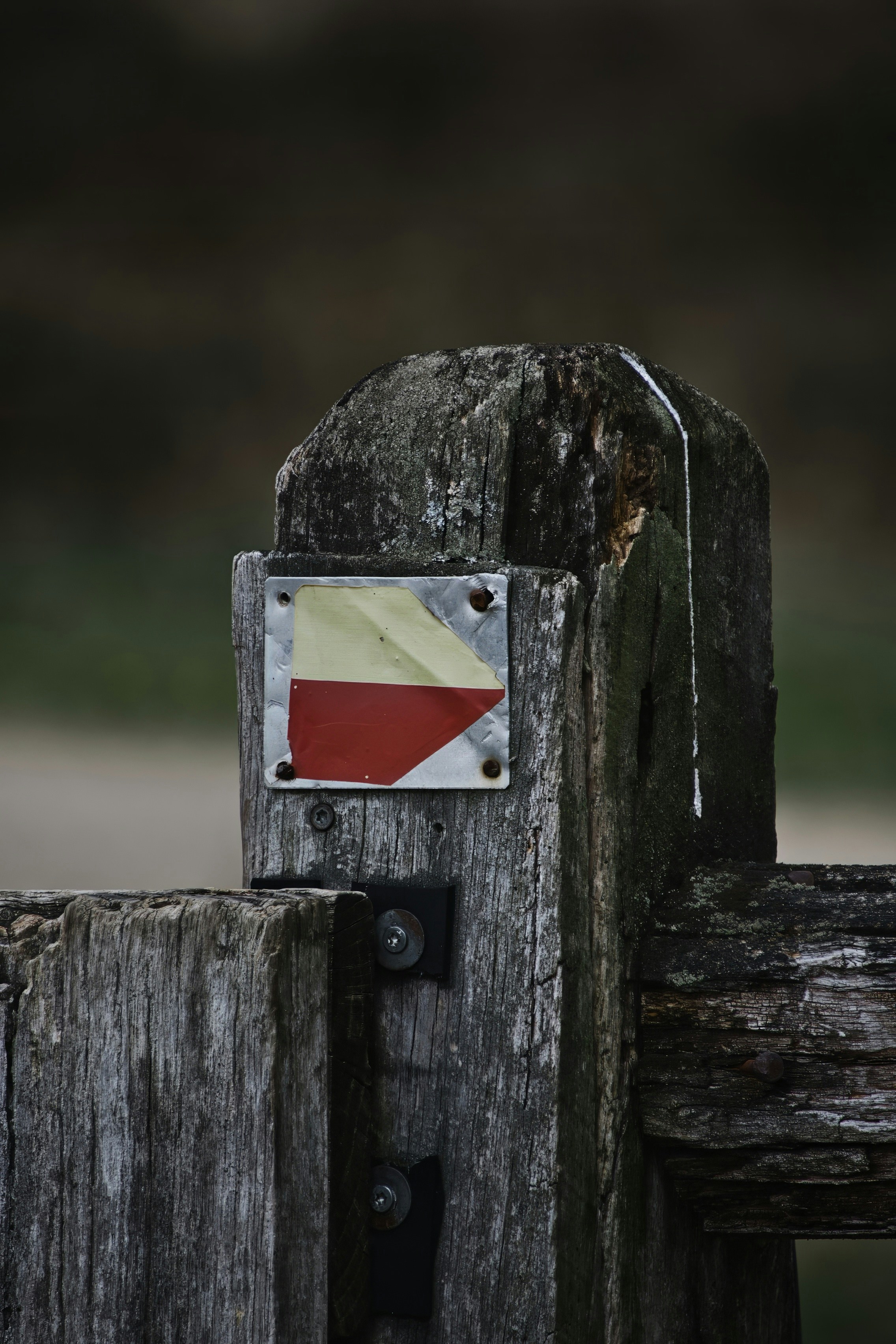 Two-Tone Trail Marker on a Weathered Post Pointing Along a Quiet Path