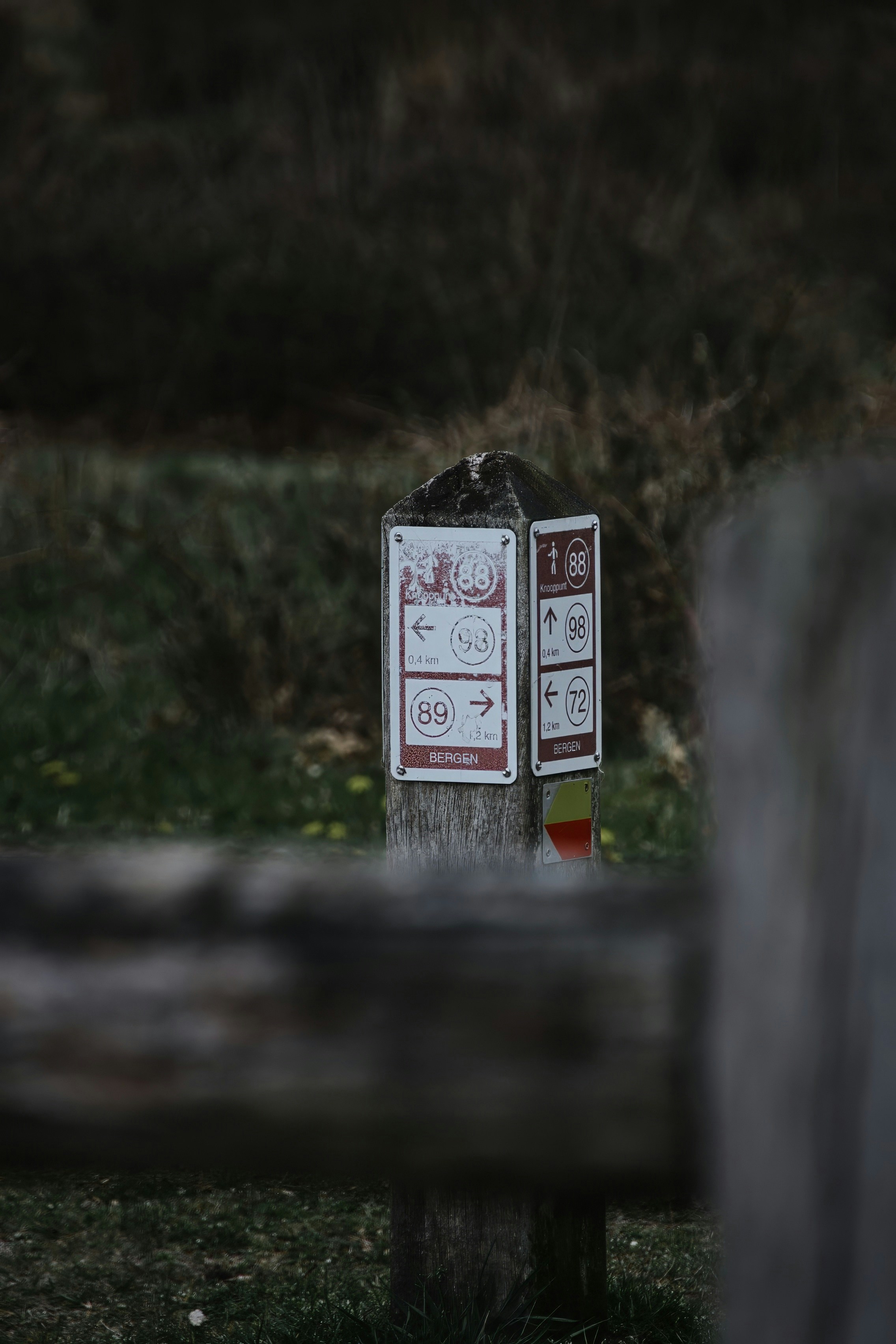 Wayfinding in the Wilderness: A Guidepost's Tale