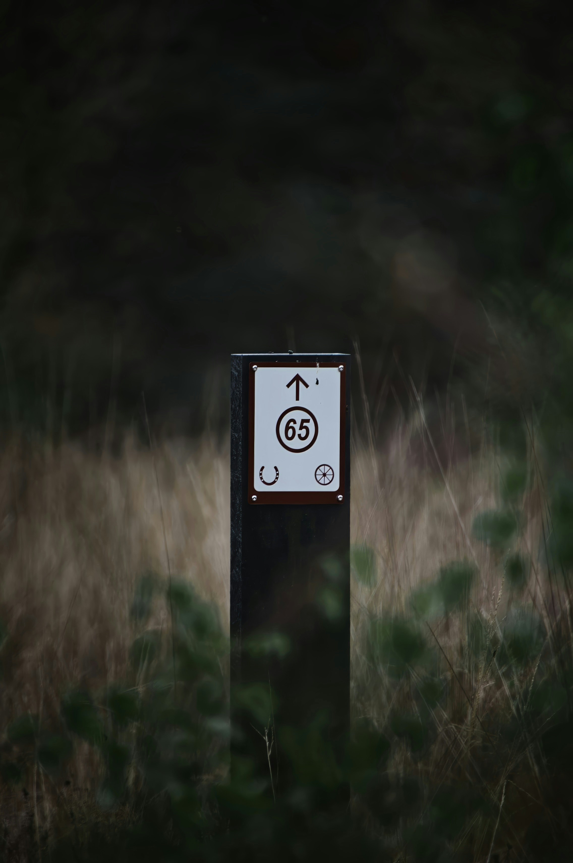 Guiding Markers in the Wilderness