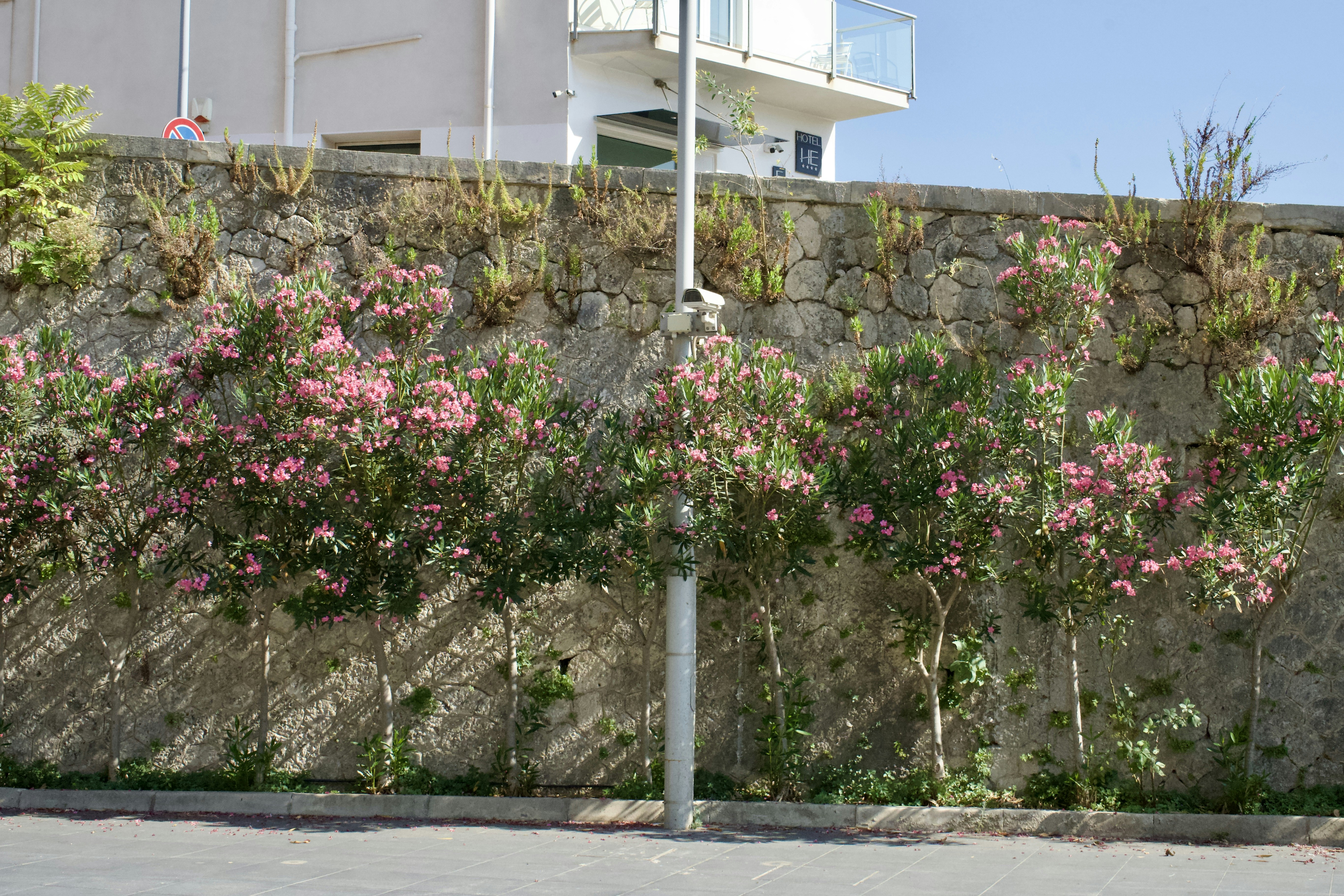 Photo by Meizhi Lang with Sony Alpha 7 III