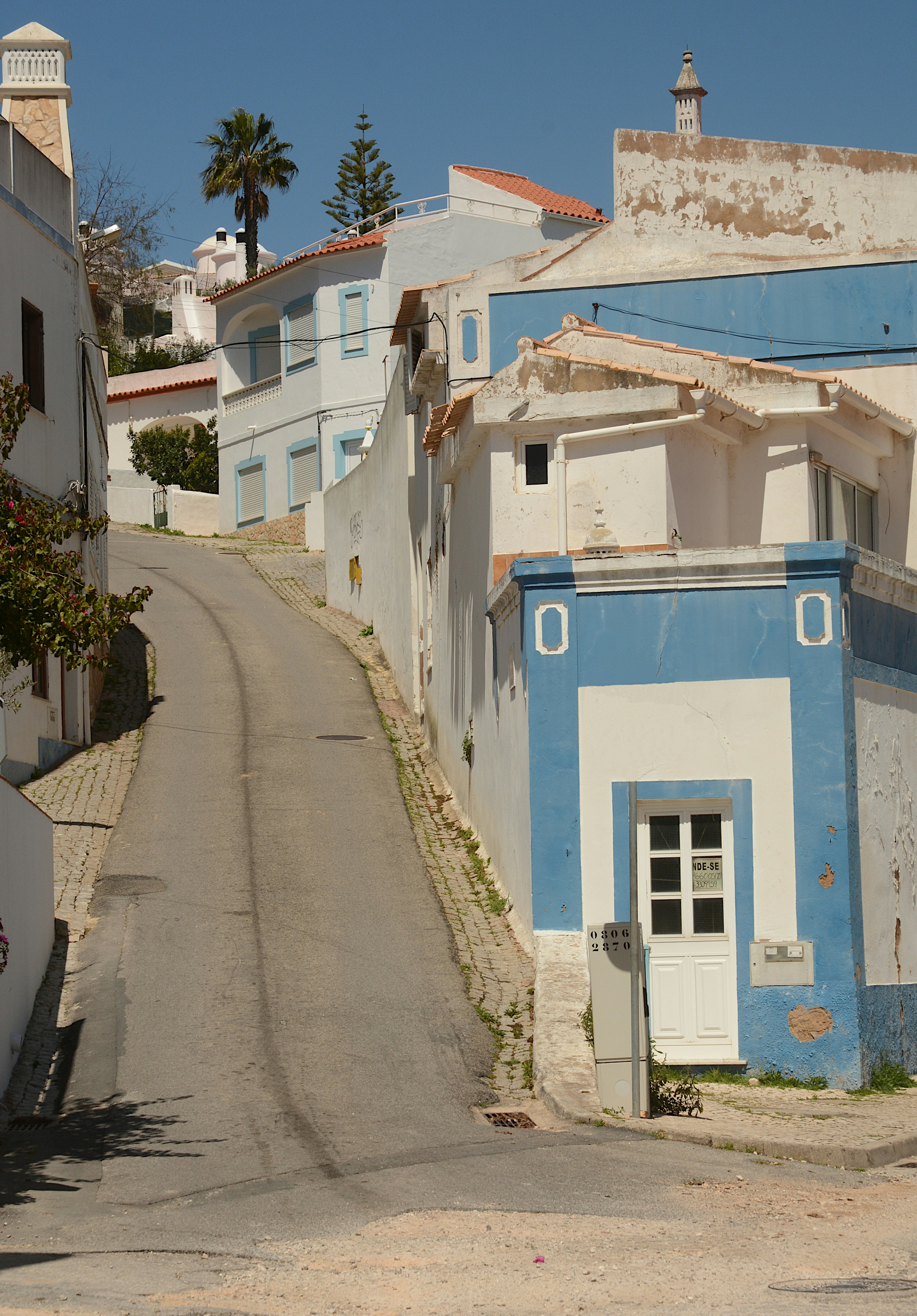 A narrow, winding street leads uphill, flanked by whitewashed houses with blue accents. Lush greenery and palm trees add a touch of vibrancy to the serene scene.