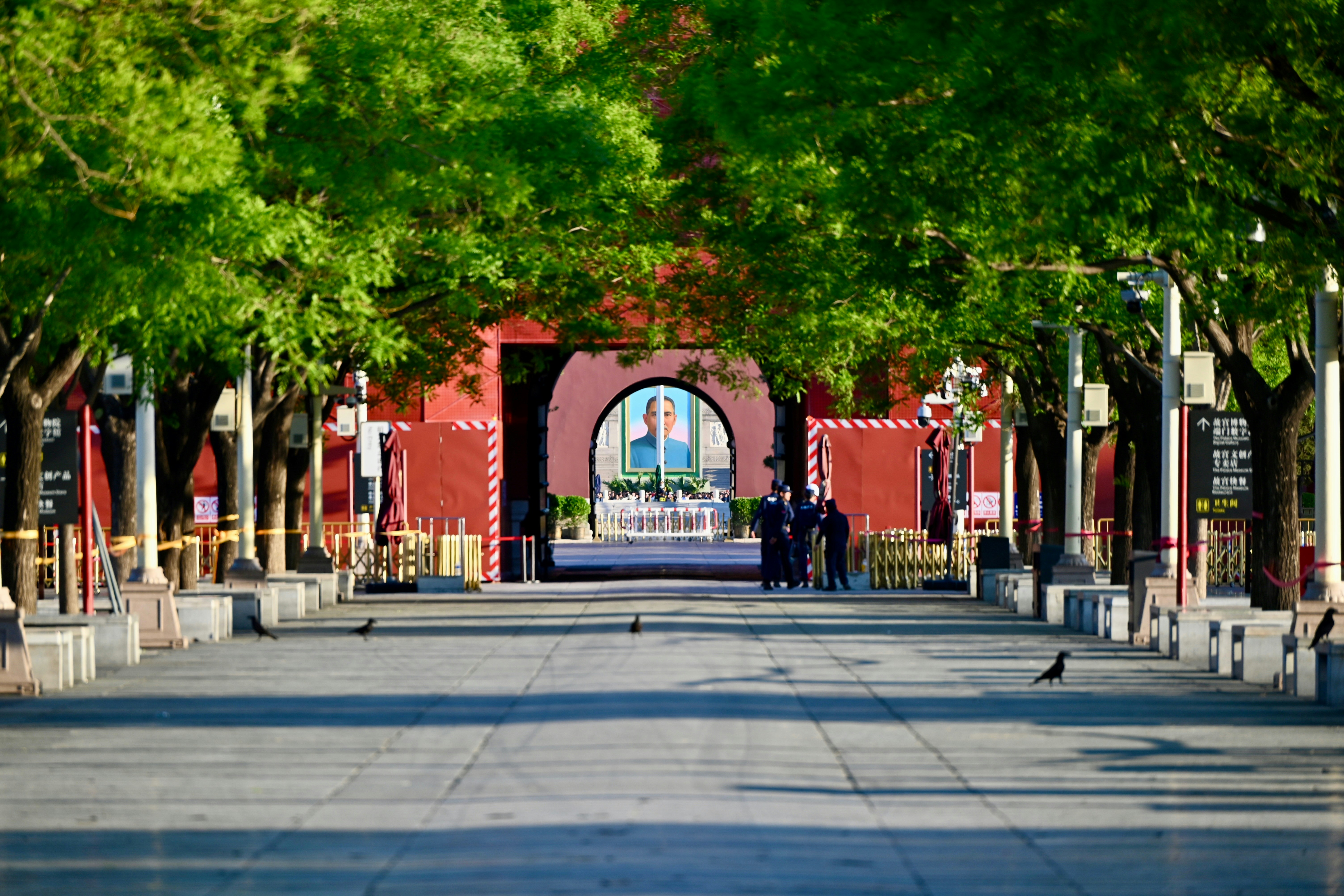 A Serene Stroll Through Lush Arches