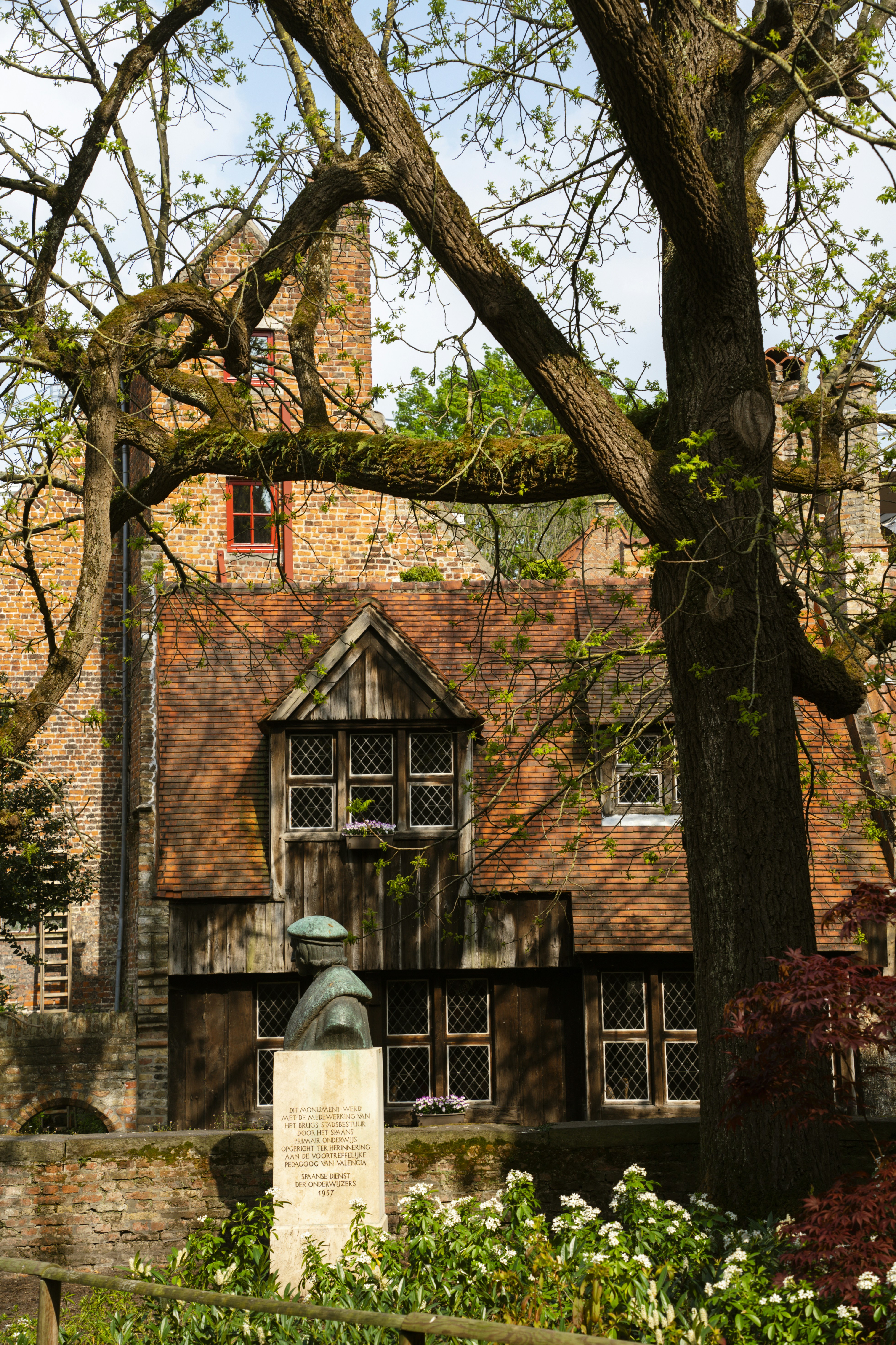 Whispers of History Beneath the Canopy