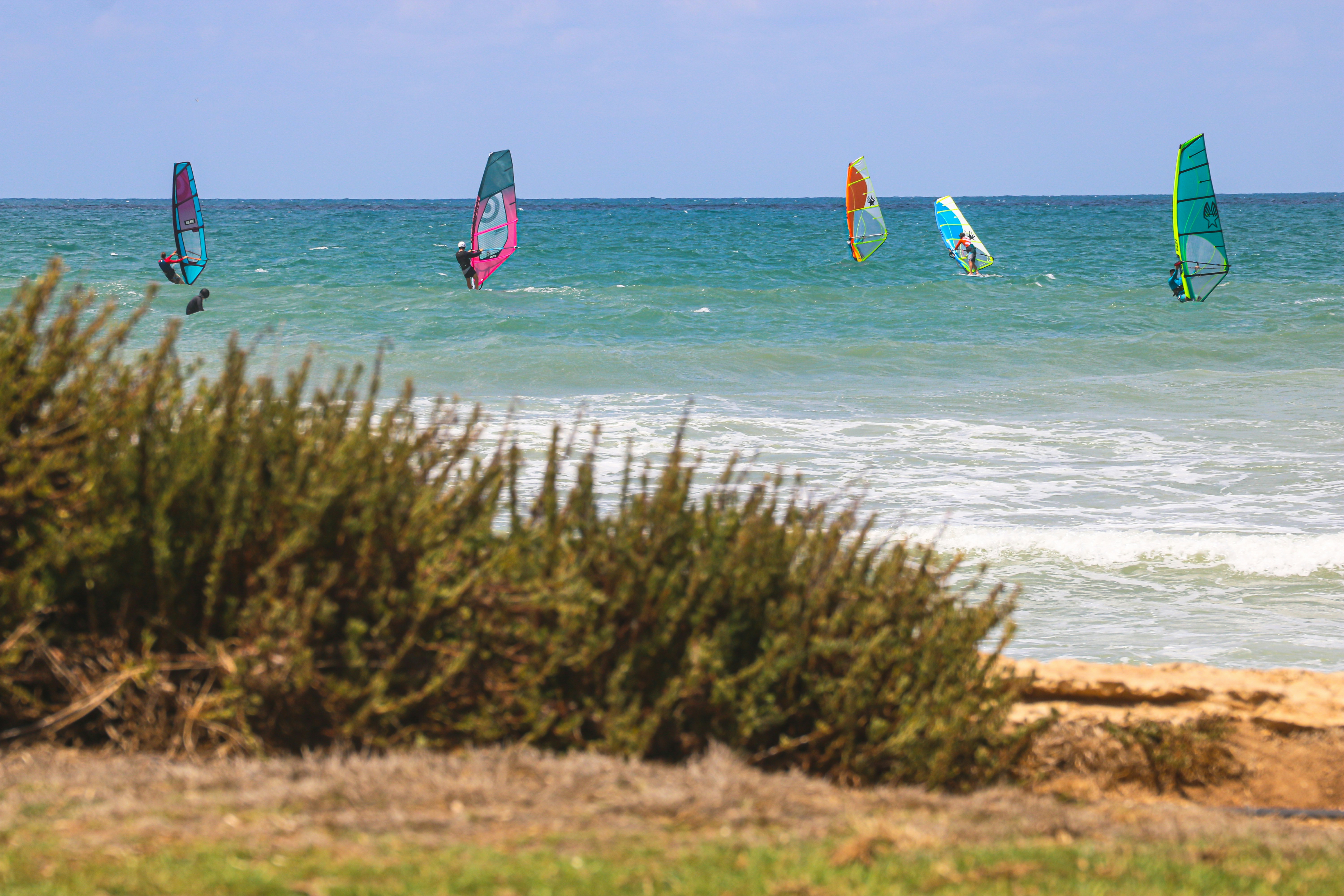 Sails of Color: A Dance on the Waves