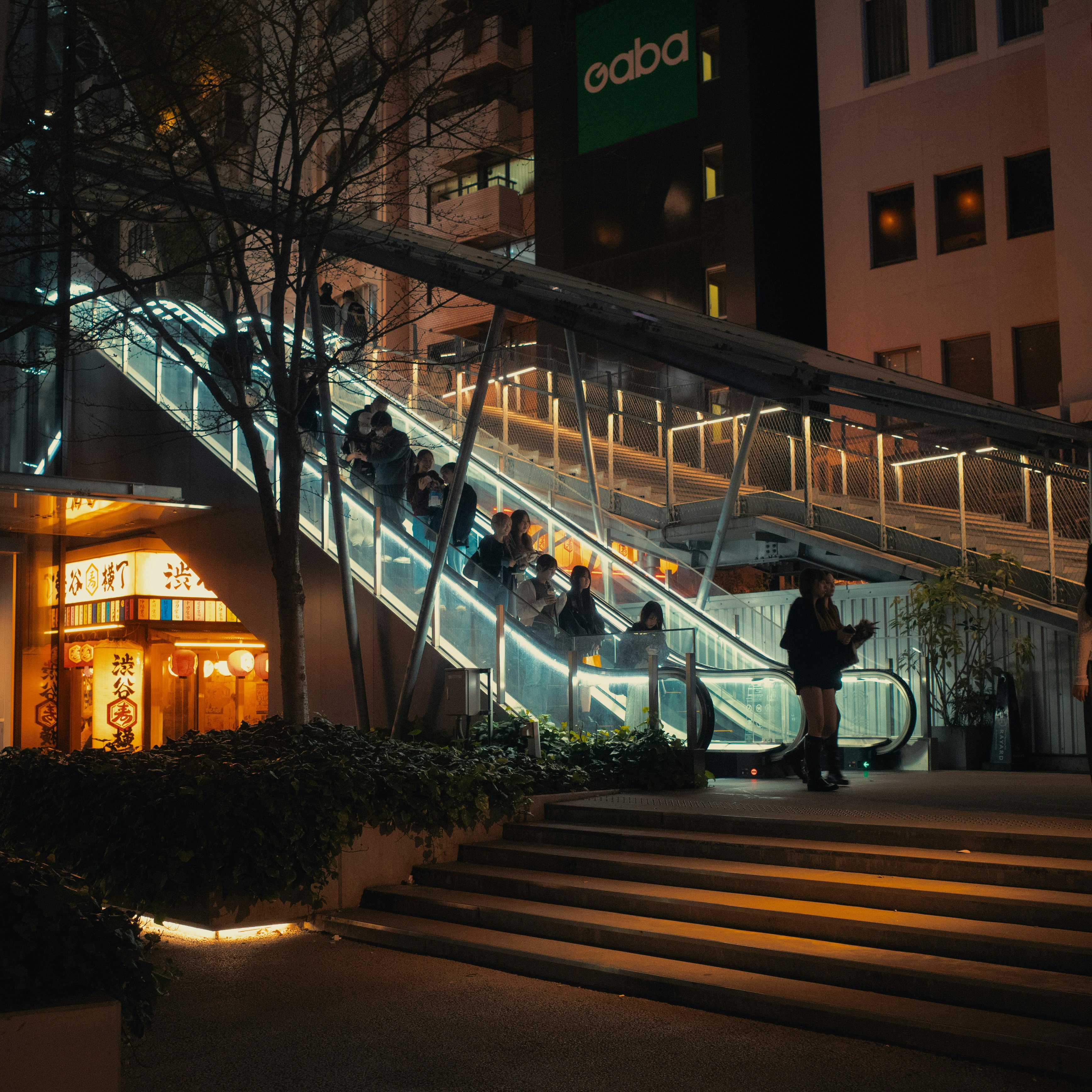 A night scene of people using a lighted escalator. | People ride an illuminated escalator at night.