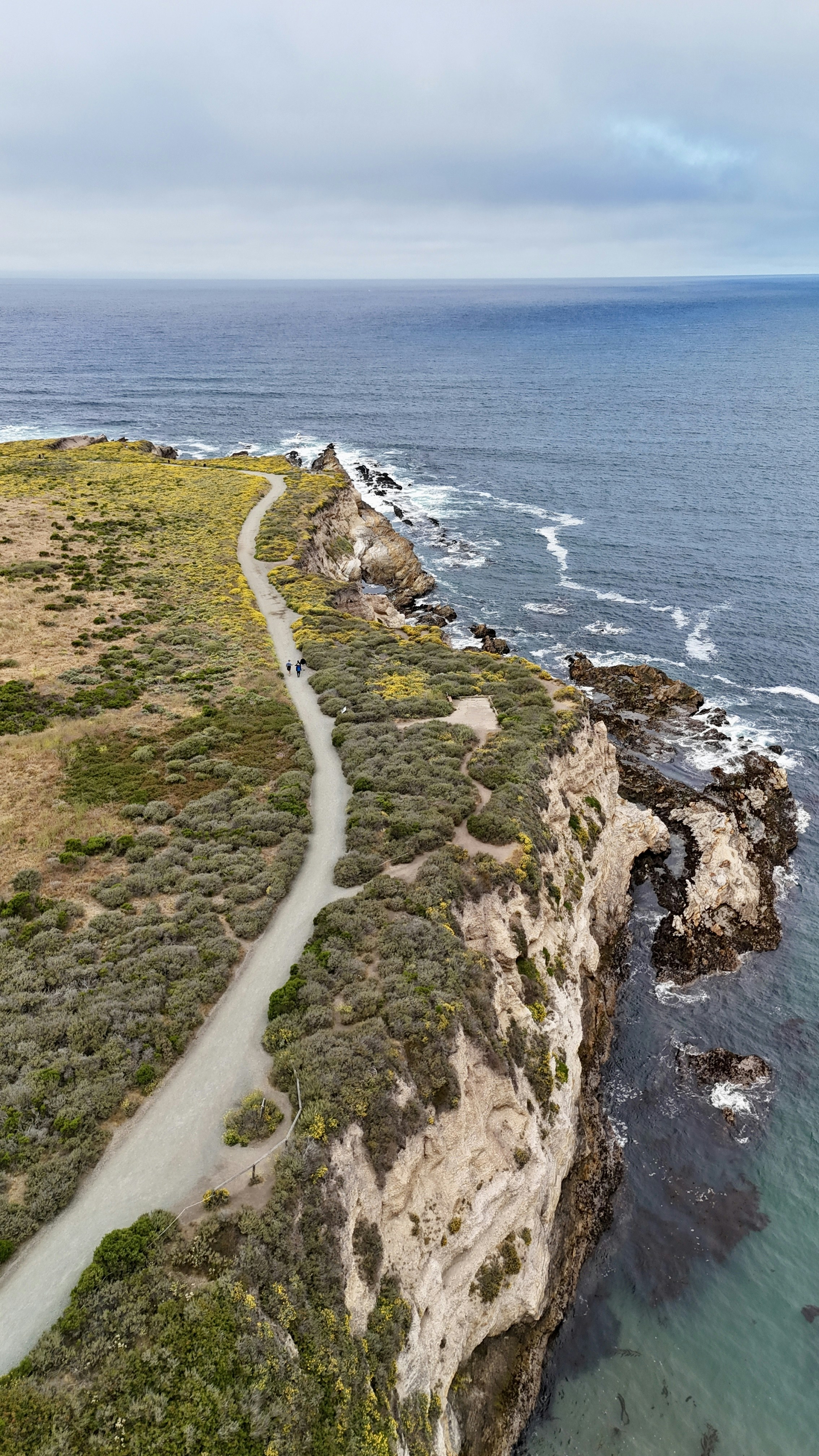 Winding Path Along the Coastal Edge
