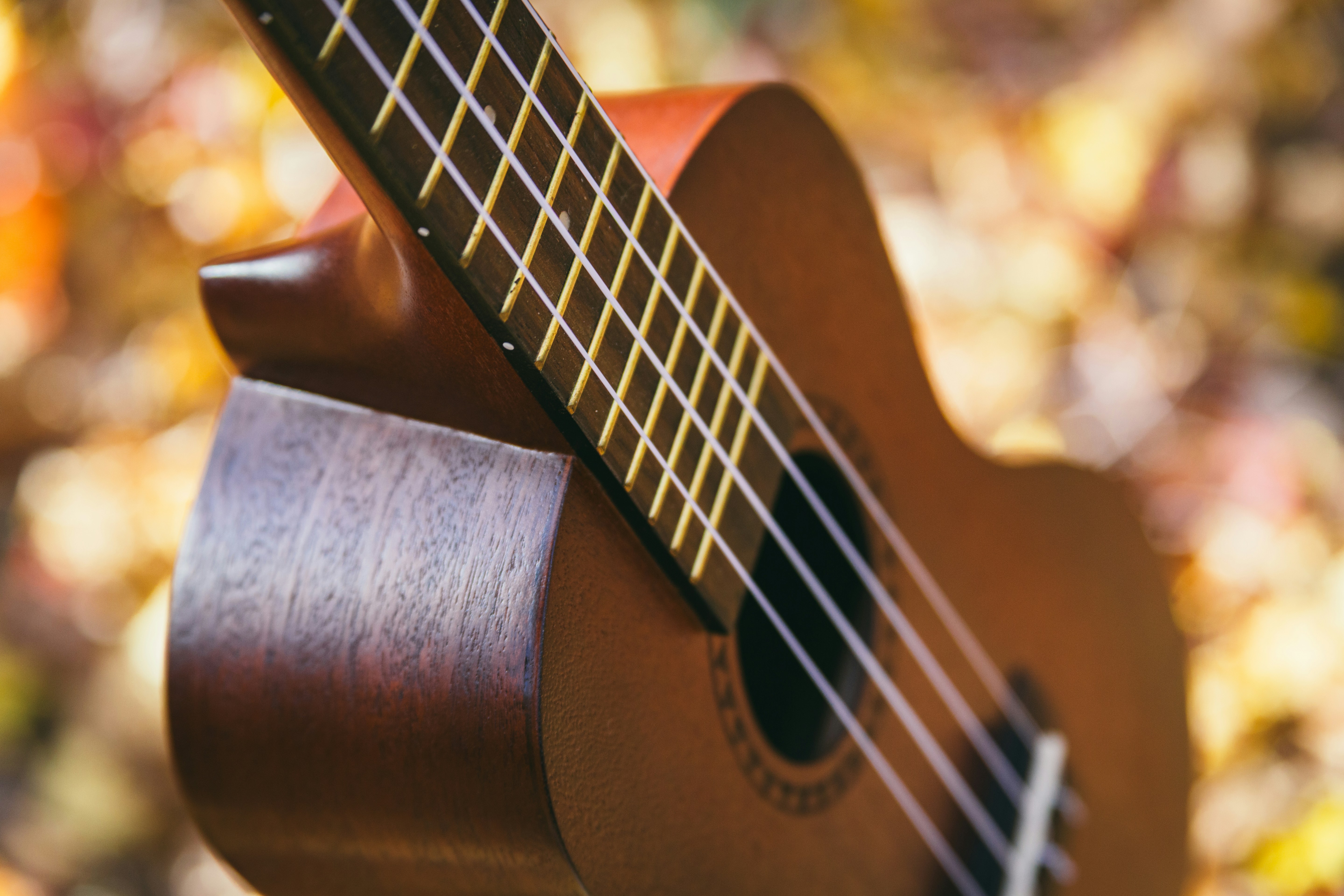 Brown Ukulele | Ukulele sits with autumn leaves in the background.