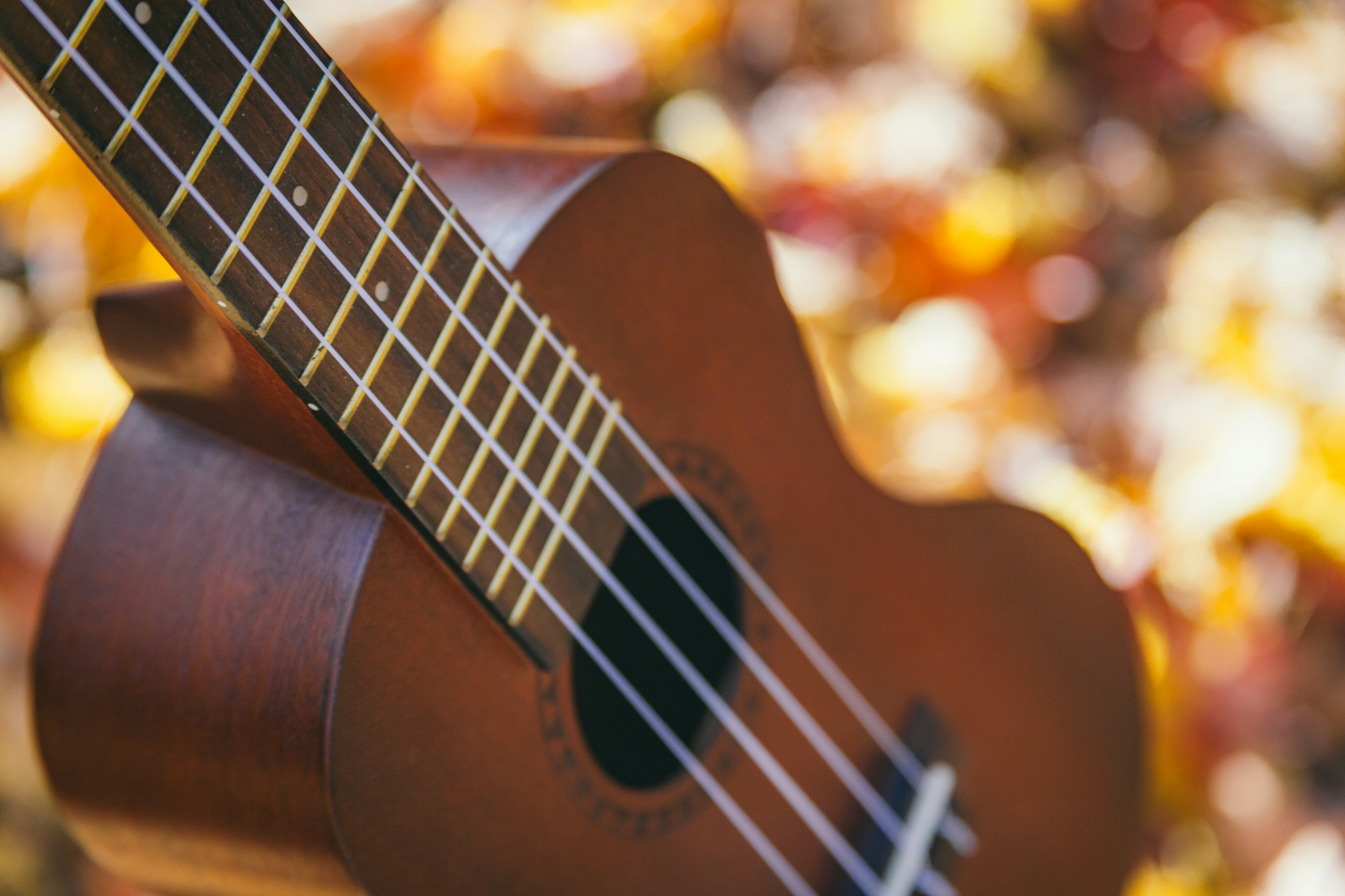 Brown Ukulele | Here is a caption for the image: a brown ukulele rests against a blurred background.