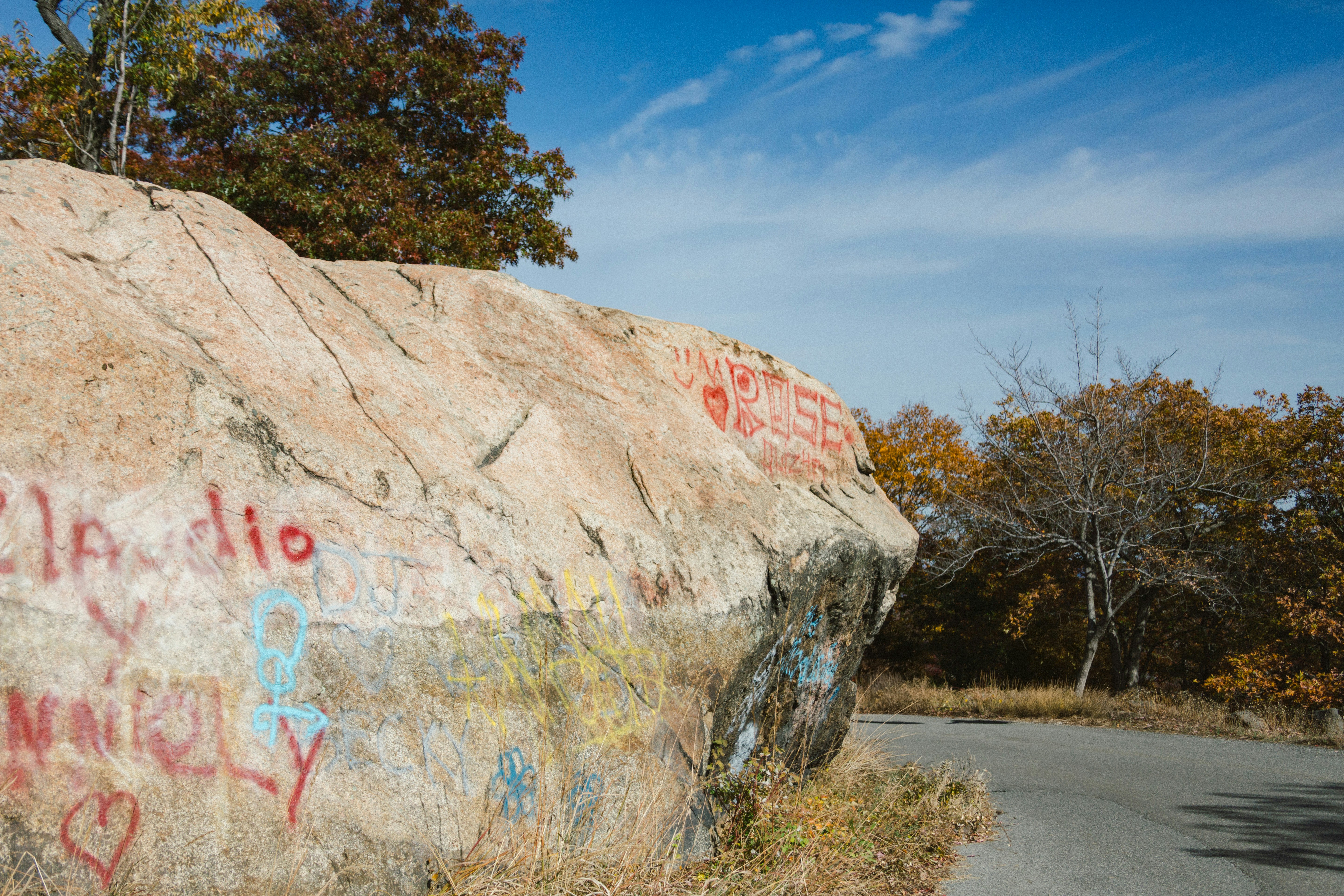 Whispers of the Past on a Weathered Stone