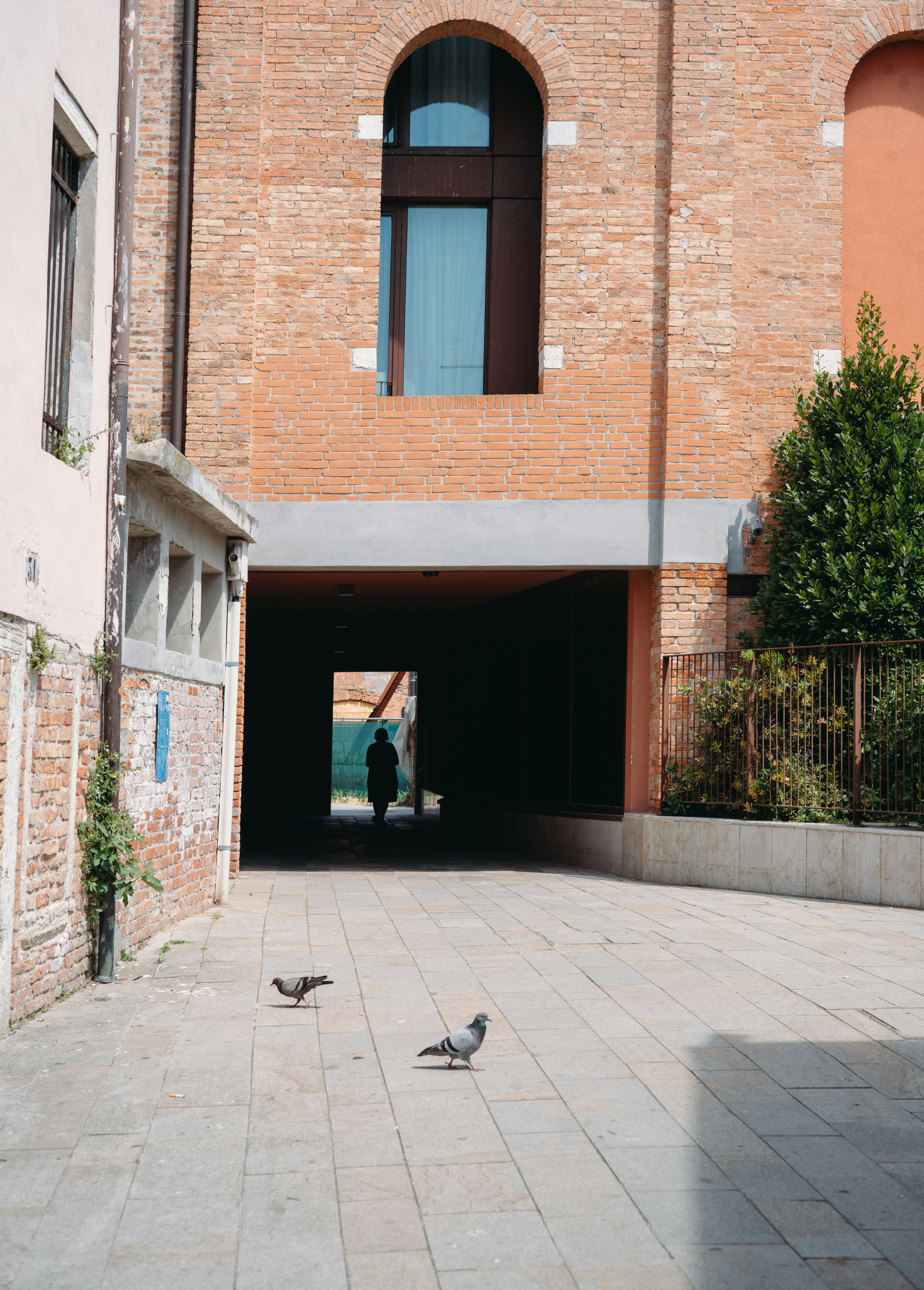Urban Passageway: A Dance of Shadows and Light