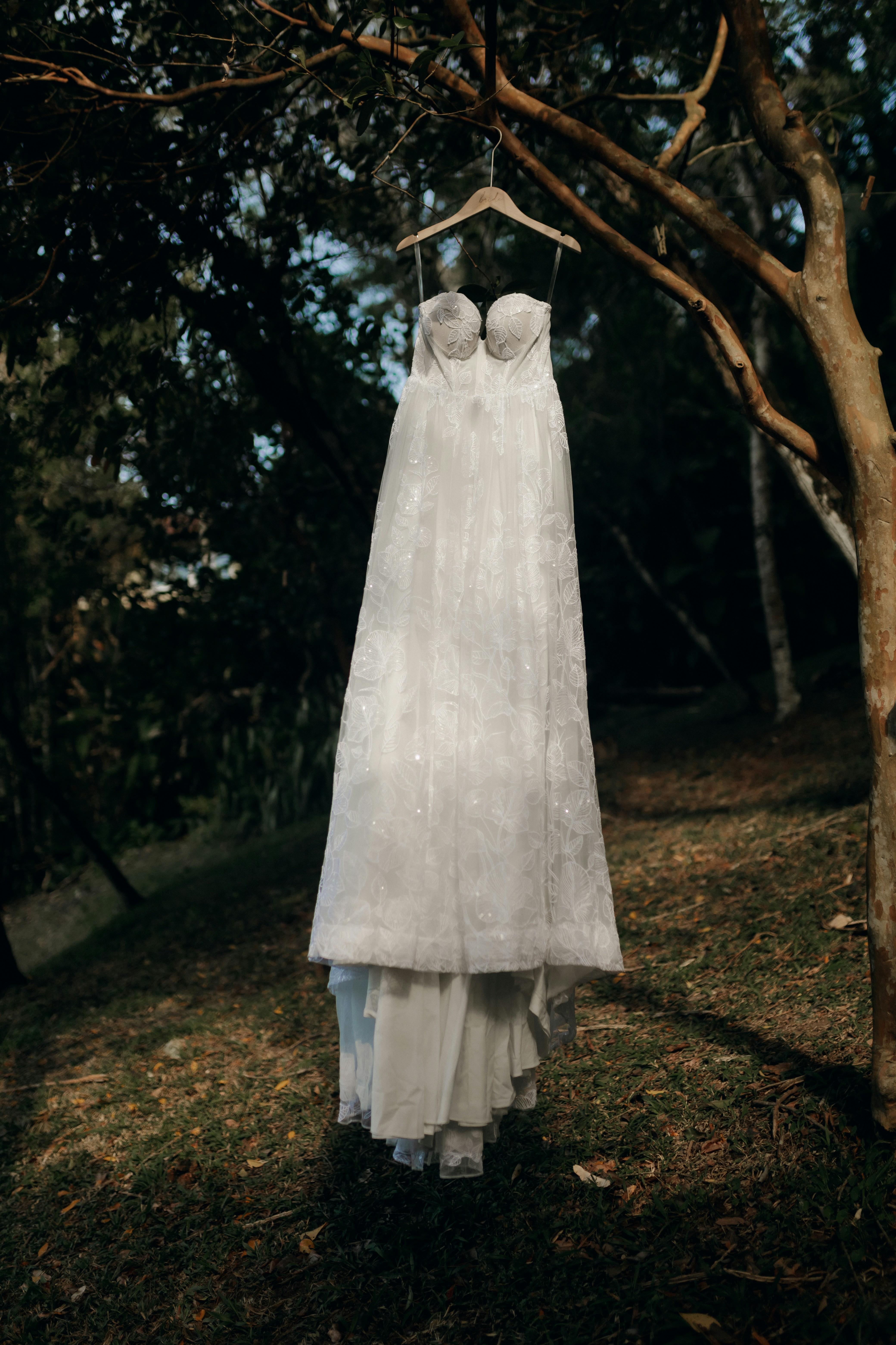 A delicate white bridal gown hangs gracefully from a tree branch, surrounded by lush greenery. The soft textures and natural setting create a serene atmosphere.