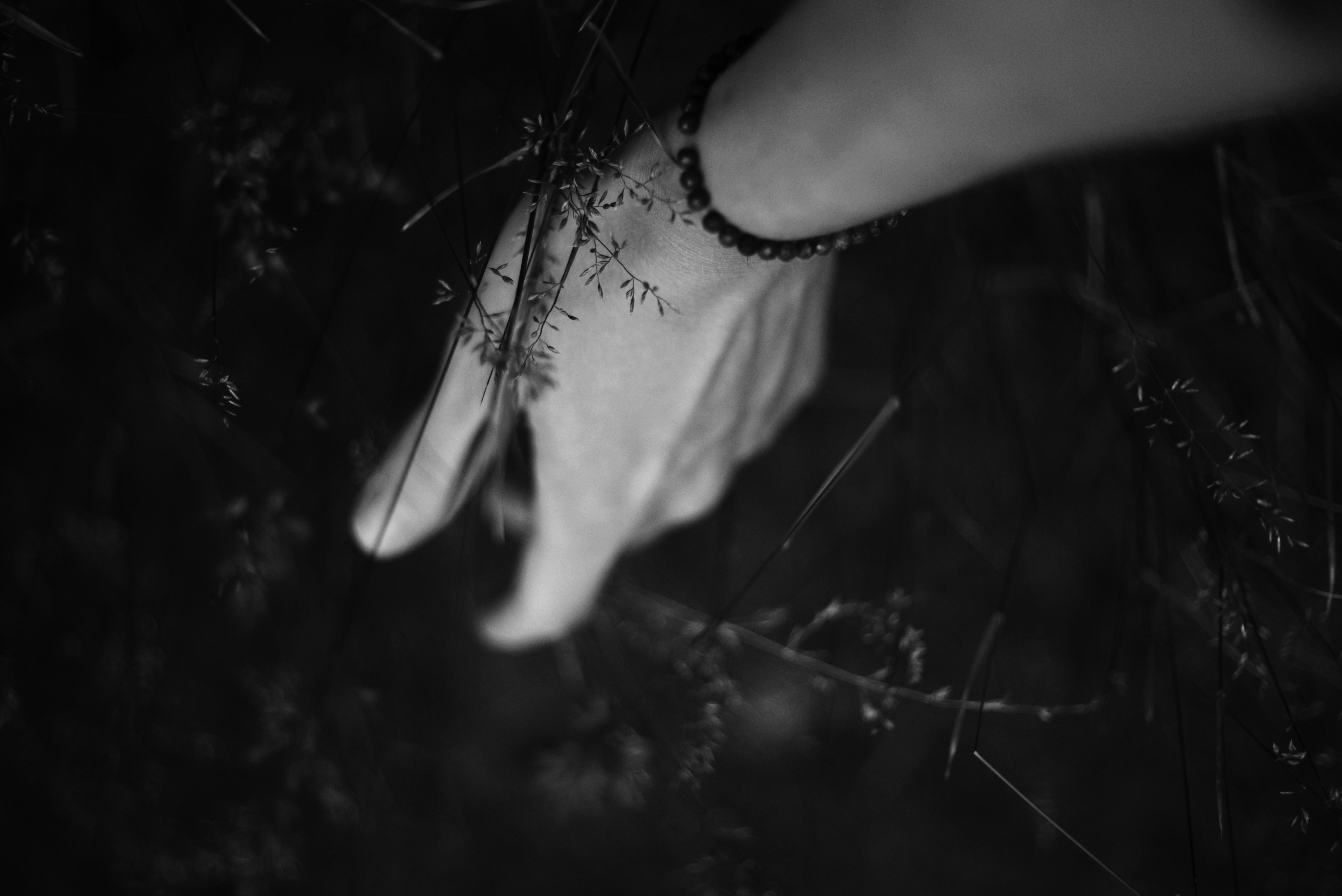 A delicate hand reaching through dark foliage, capturing a moment of connection with nature.