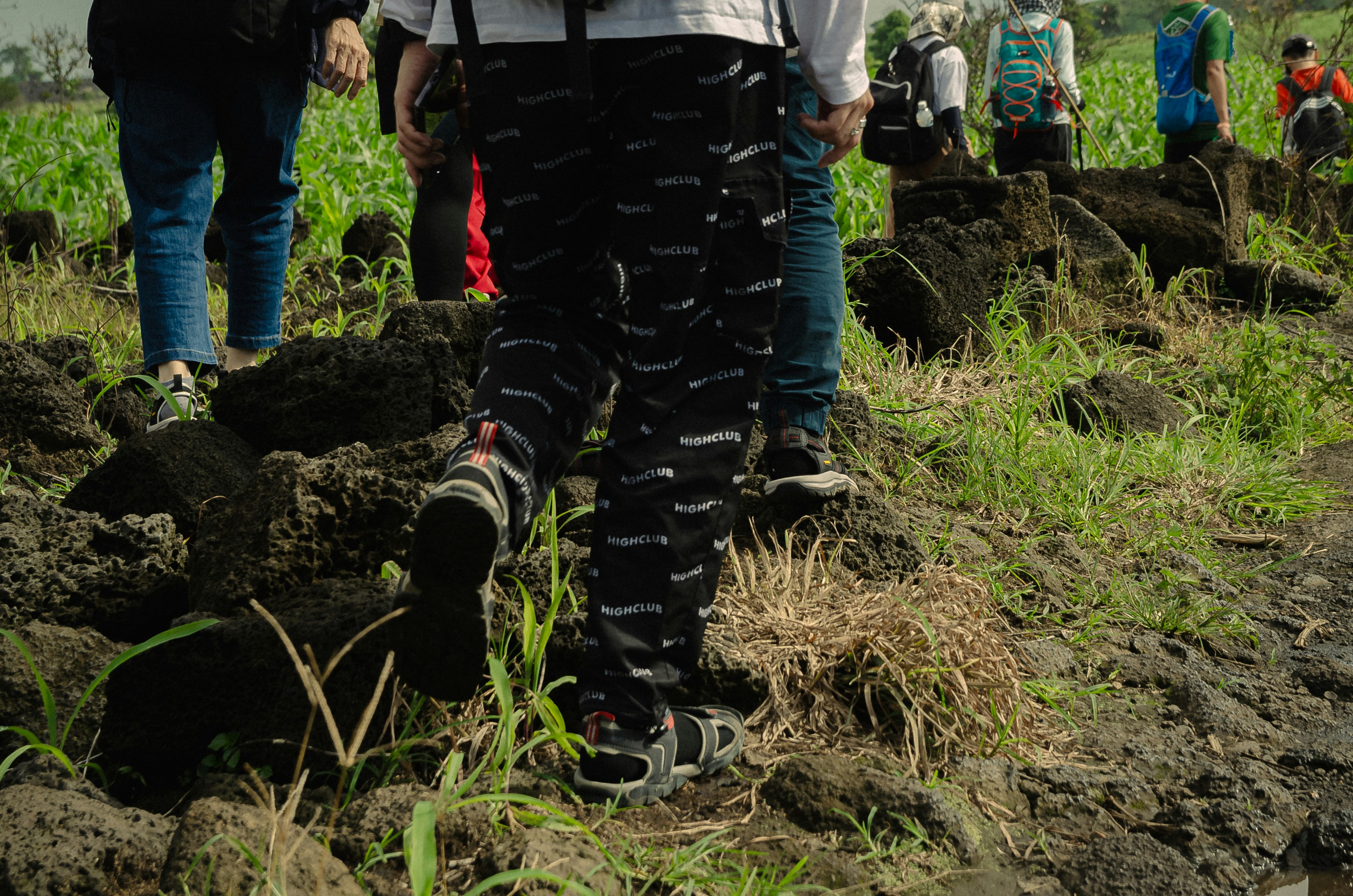 Journey Through the Green Terrain