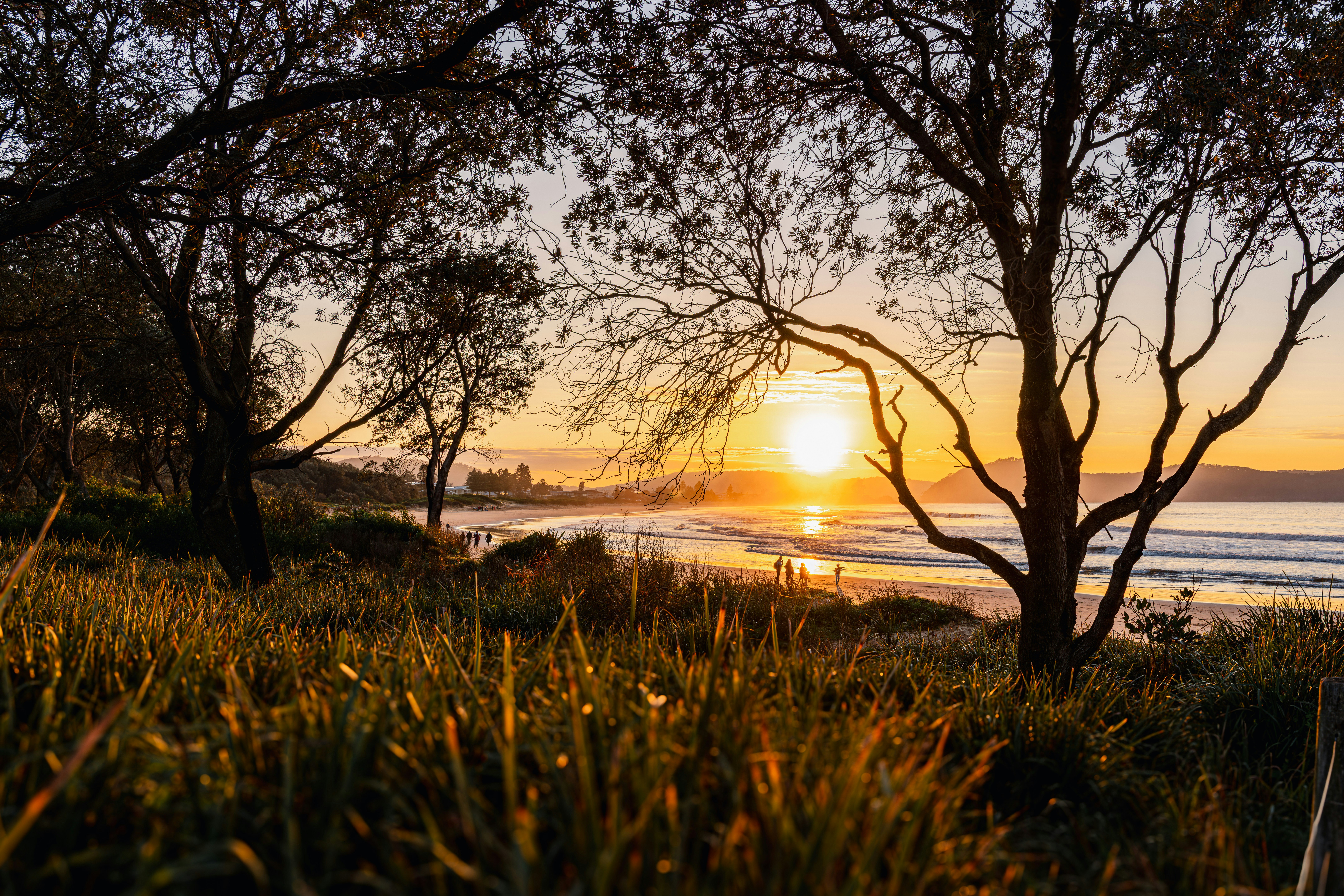 Umina Beach at Sunrise | A beach sunset shines through the trees.