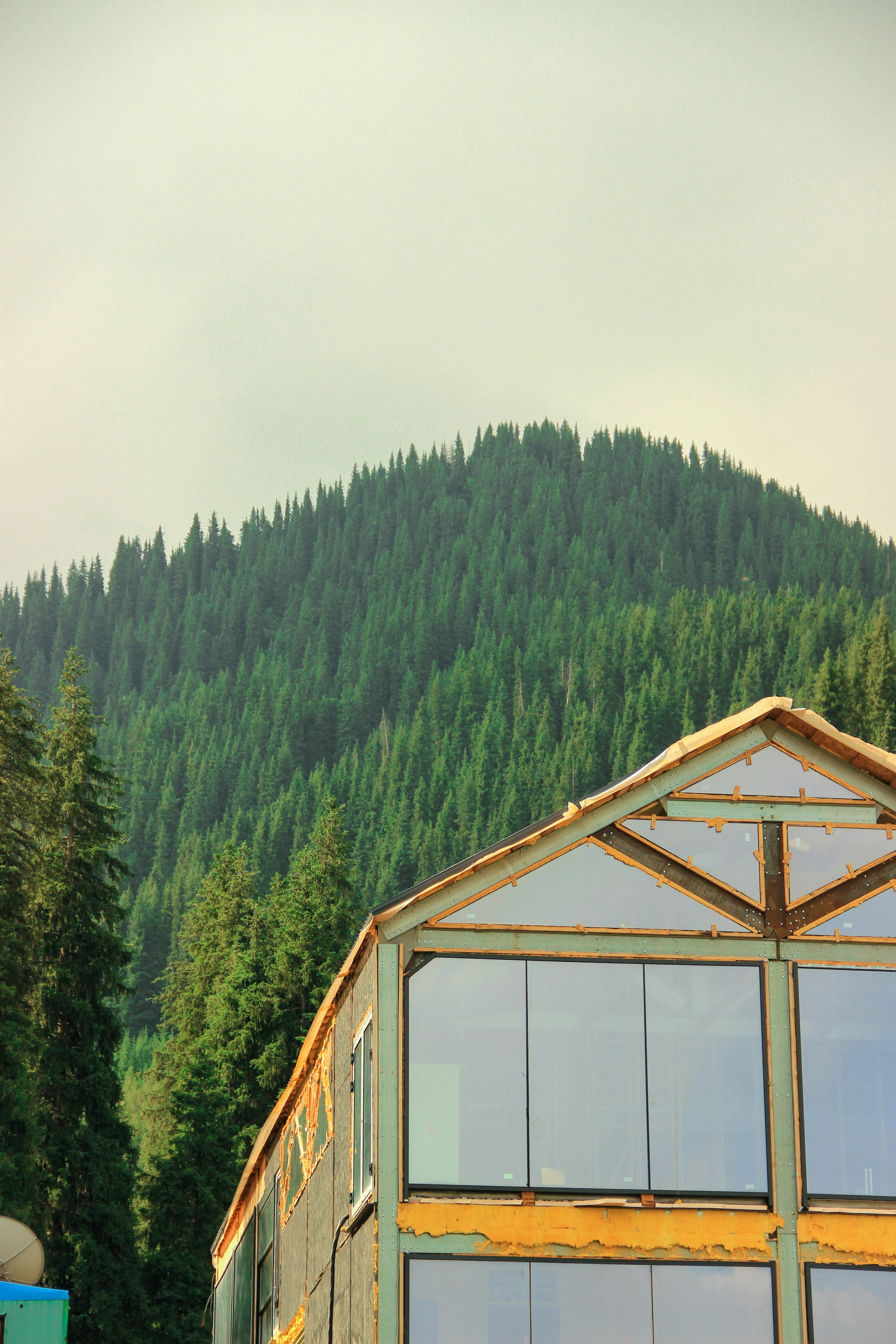 Modern building with large glass windows nestled against a backdrop of dense evergreen forest and mountain peaks.