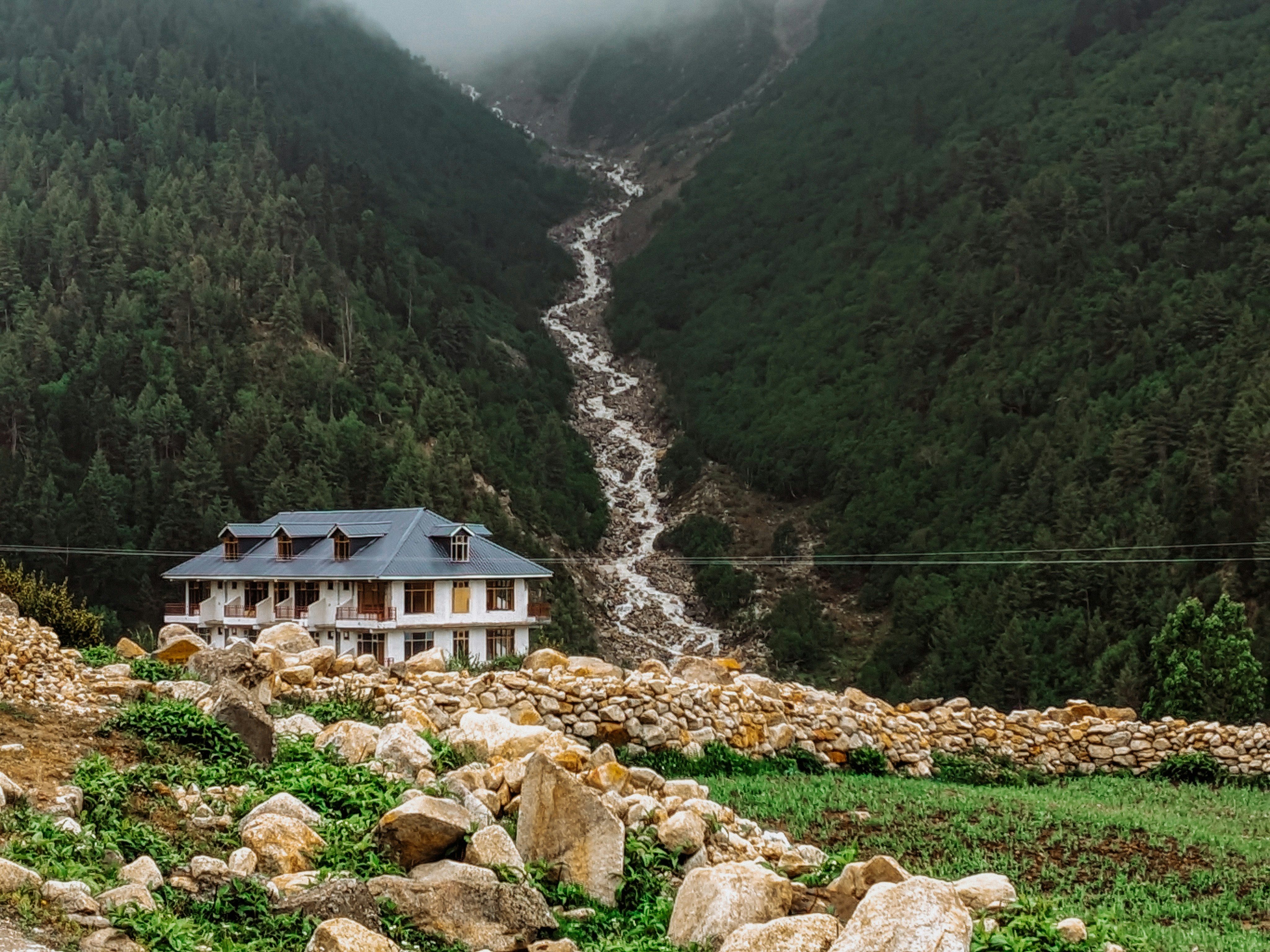 Sample photo from Motorola Edge 50 Fusion