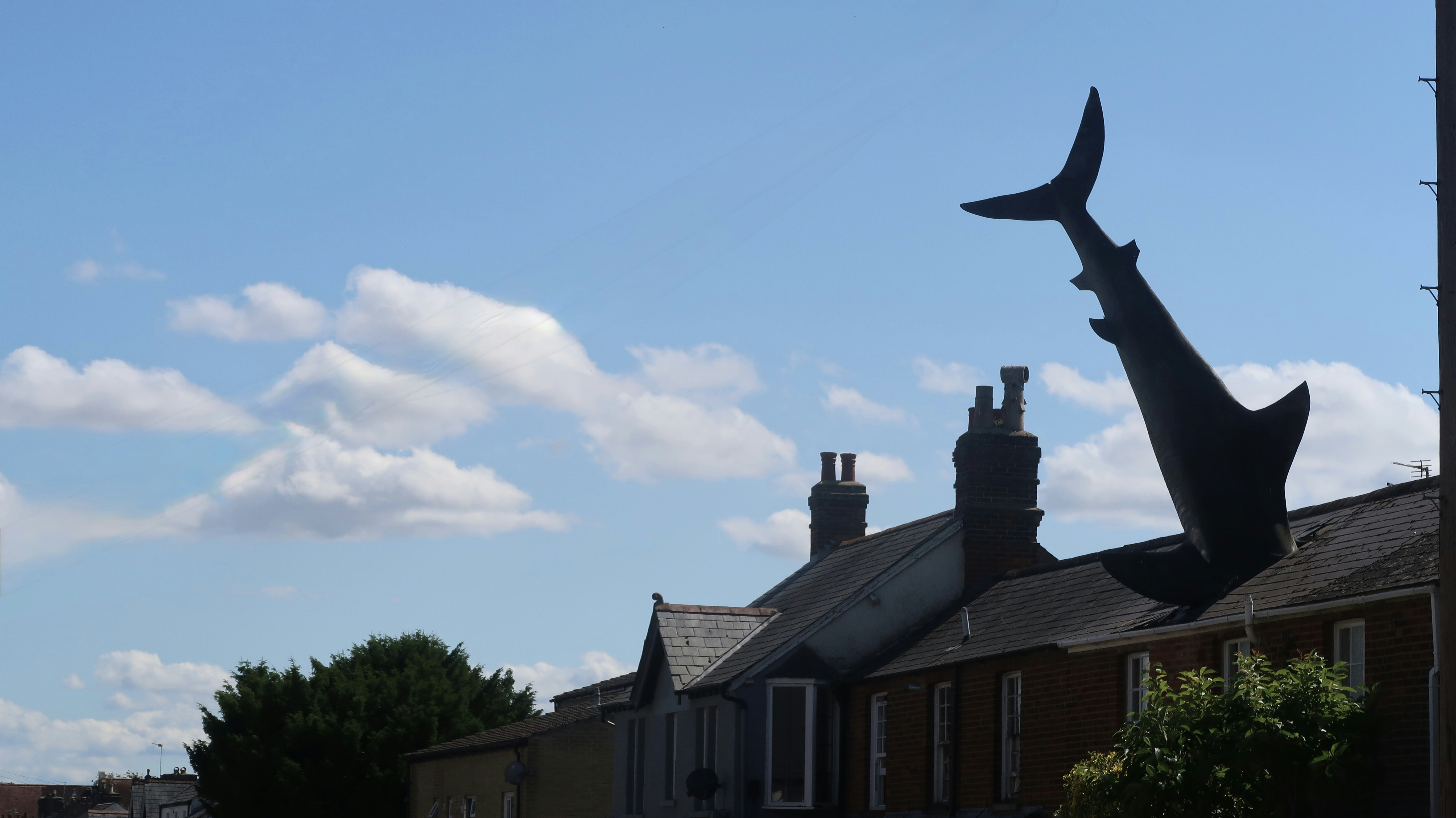 A shark sculpture pierces the roof of a house.