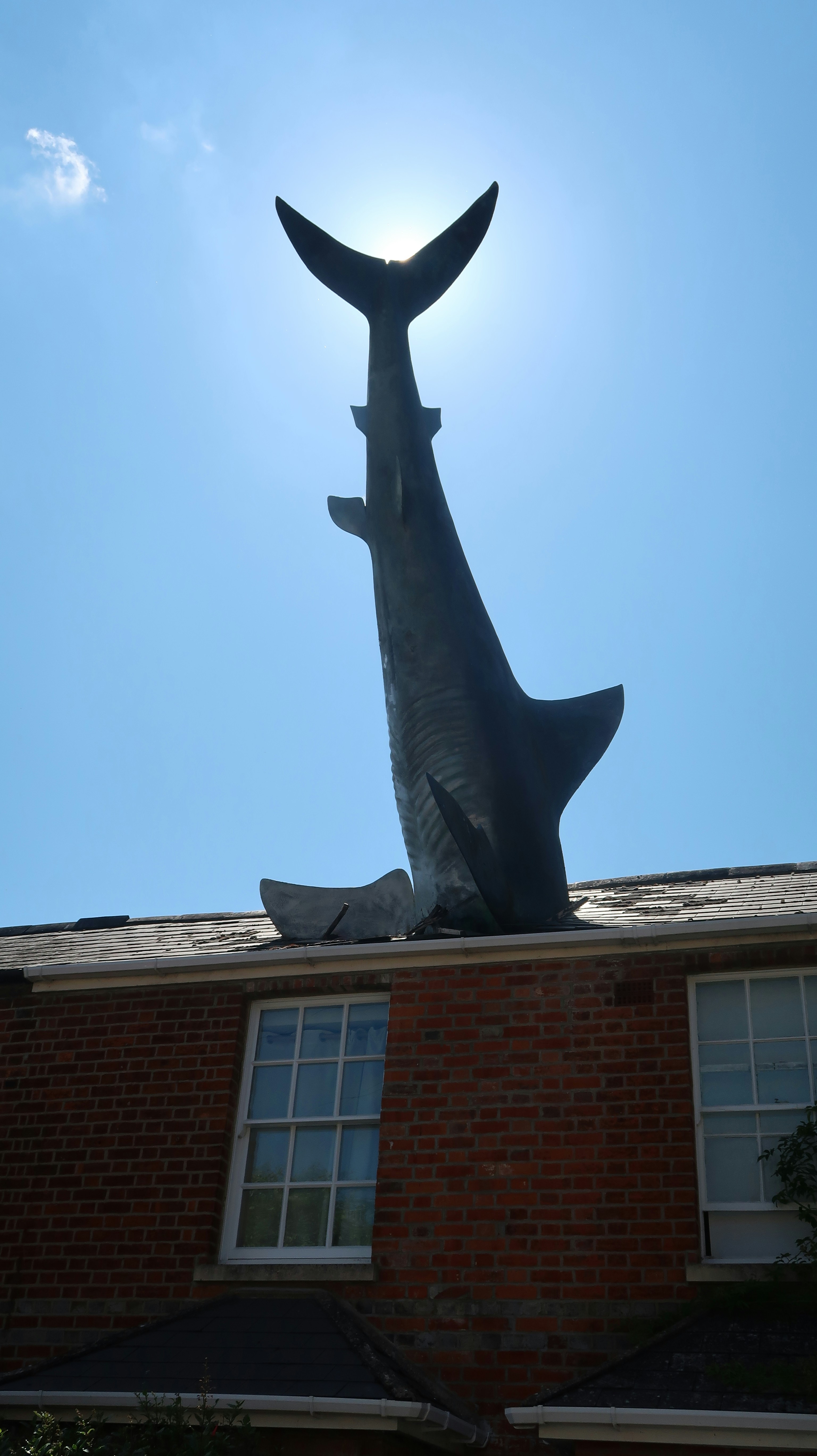Sunlit Whale-Tail Silhouette Above a Brick Rooftop