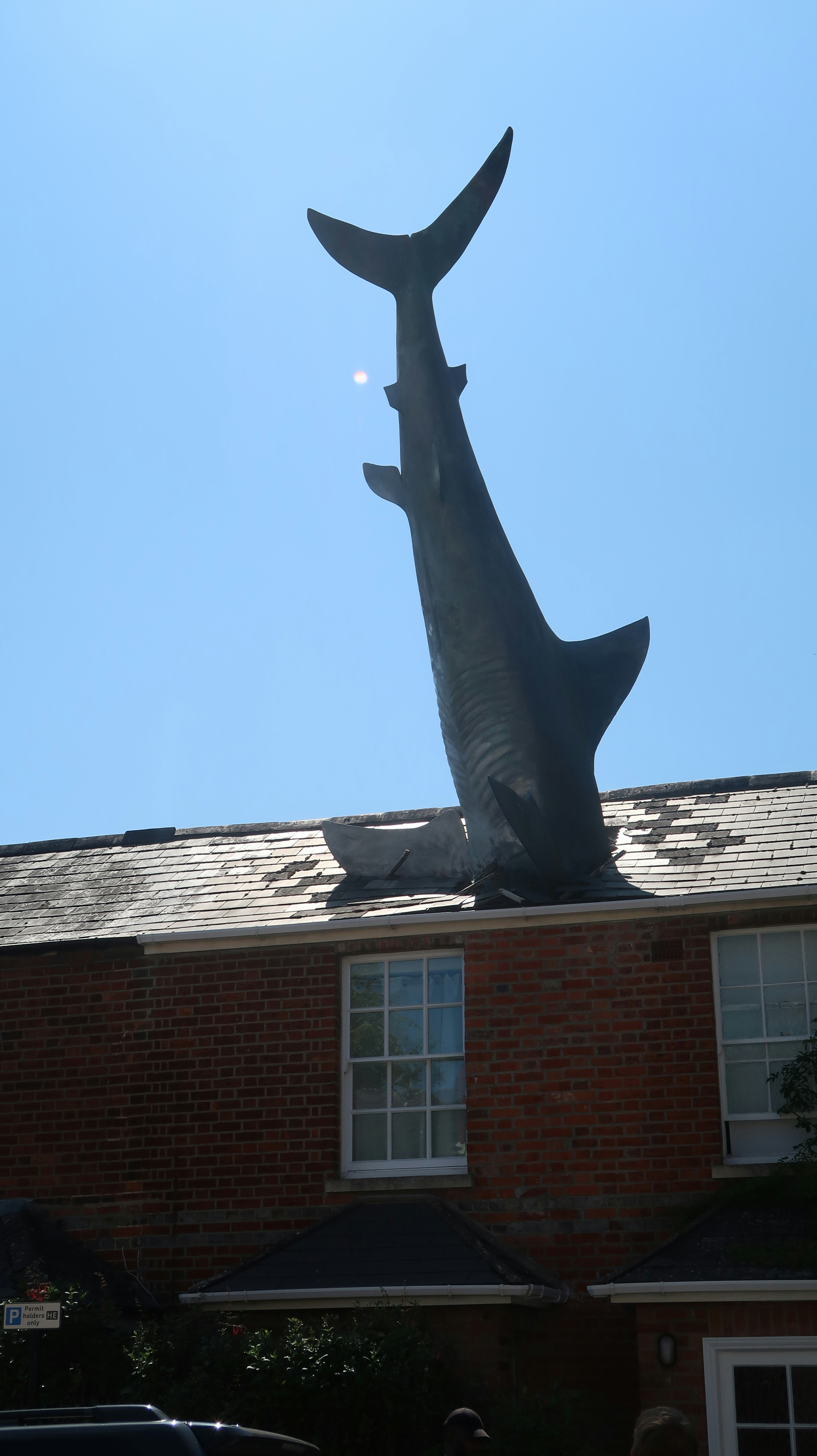 A shark statue is embedded in the roof.