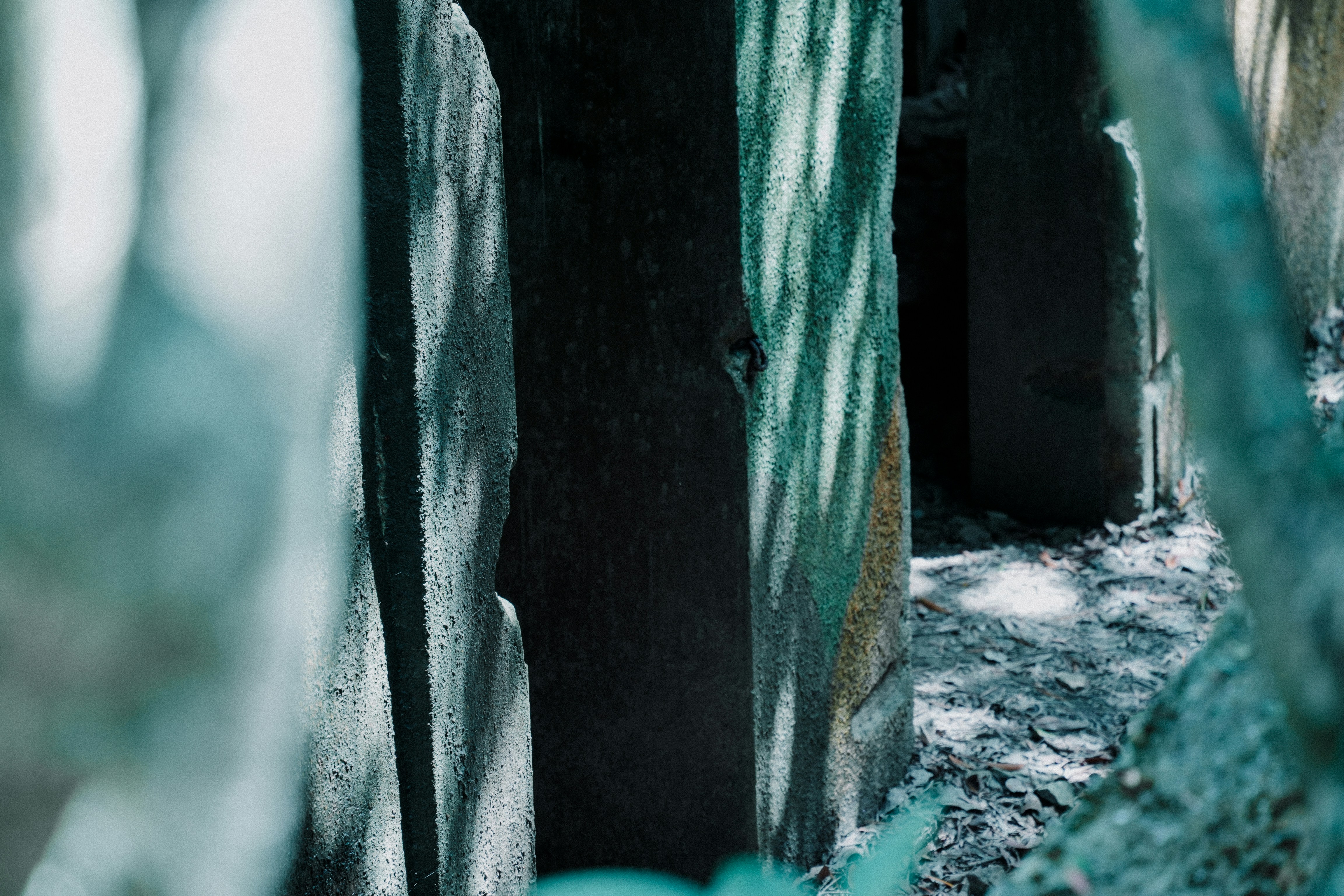Whispers of Nature's Architecture