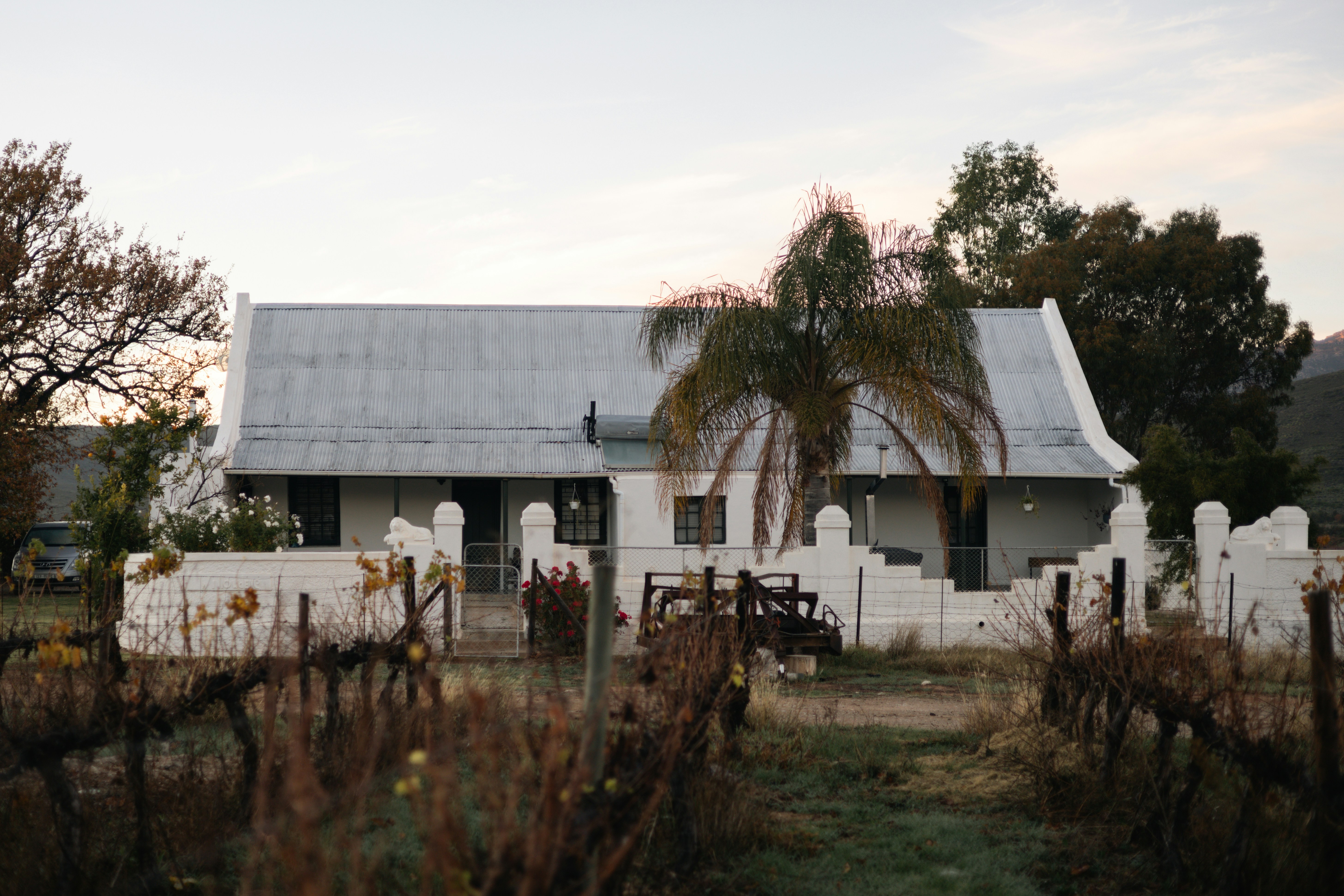 An old farm house on a farm in Western Cape | A white cottage sits near a vineyard.