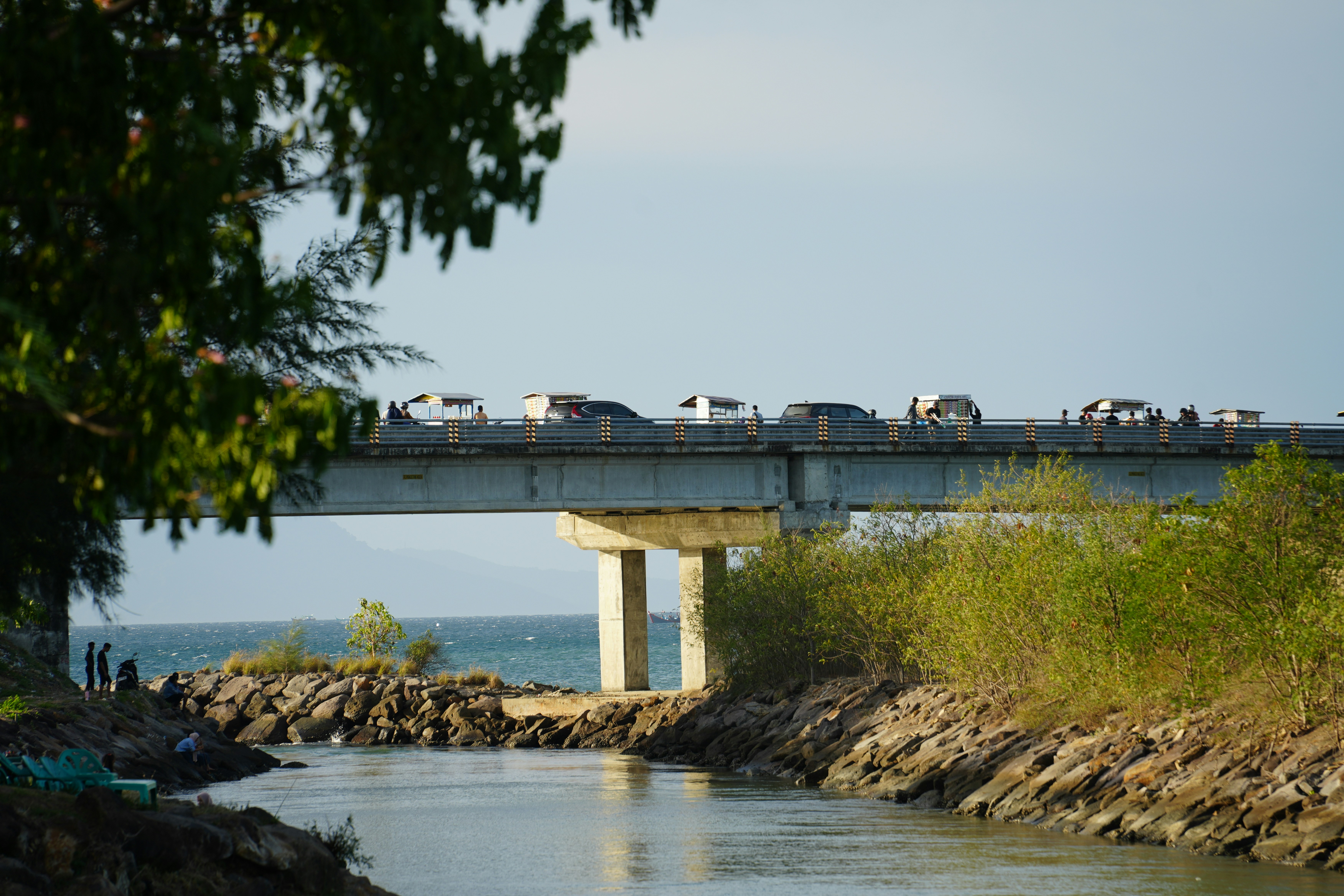 Line of Cars on a Sunlit Coastal Bridge