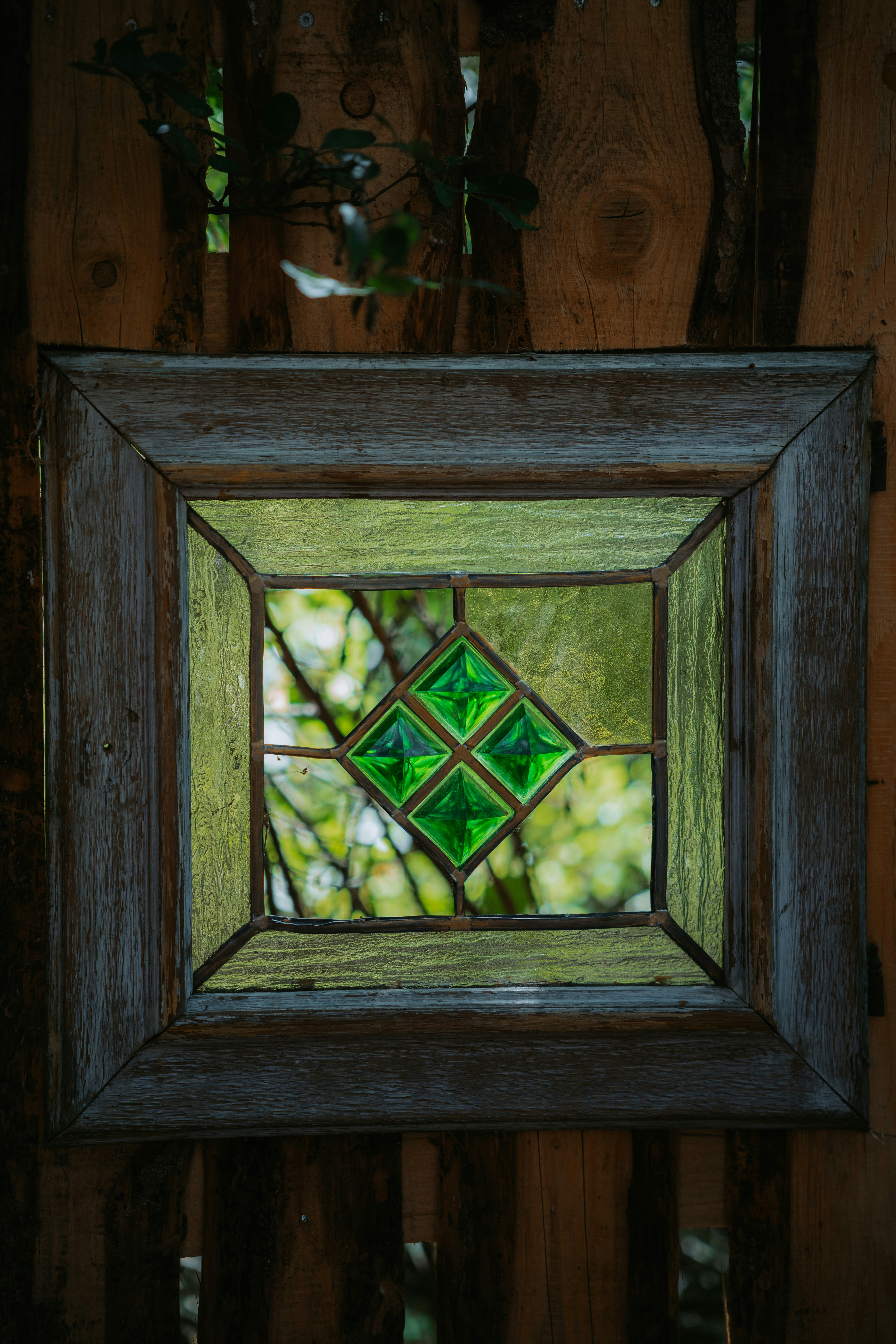 Emerald Fragments Framed by Nature