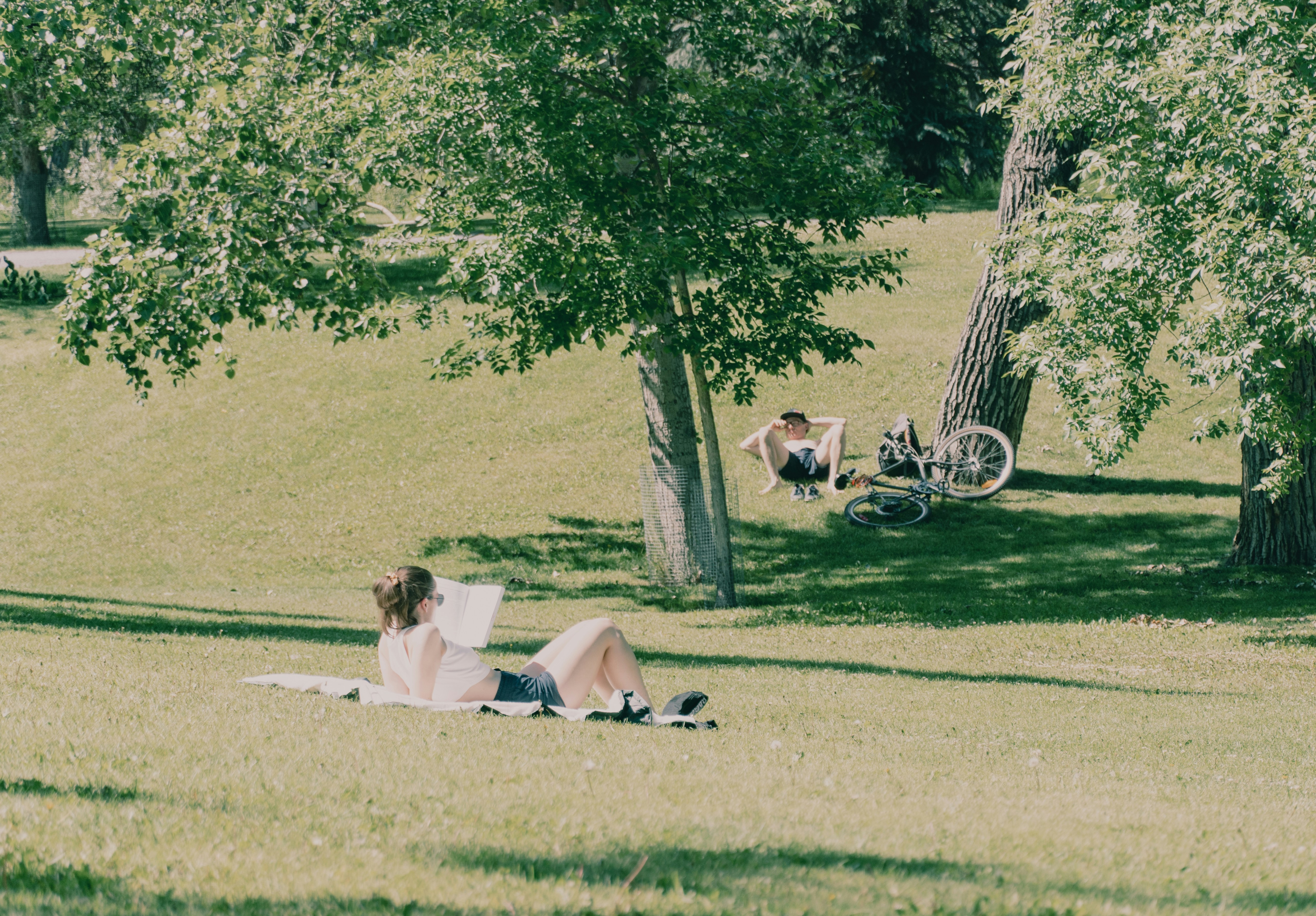 Girl reading on a blanket in a sunlit park, while a boy plays nearby with a bicycle. 