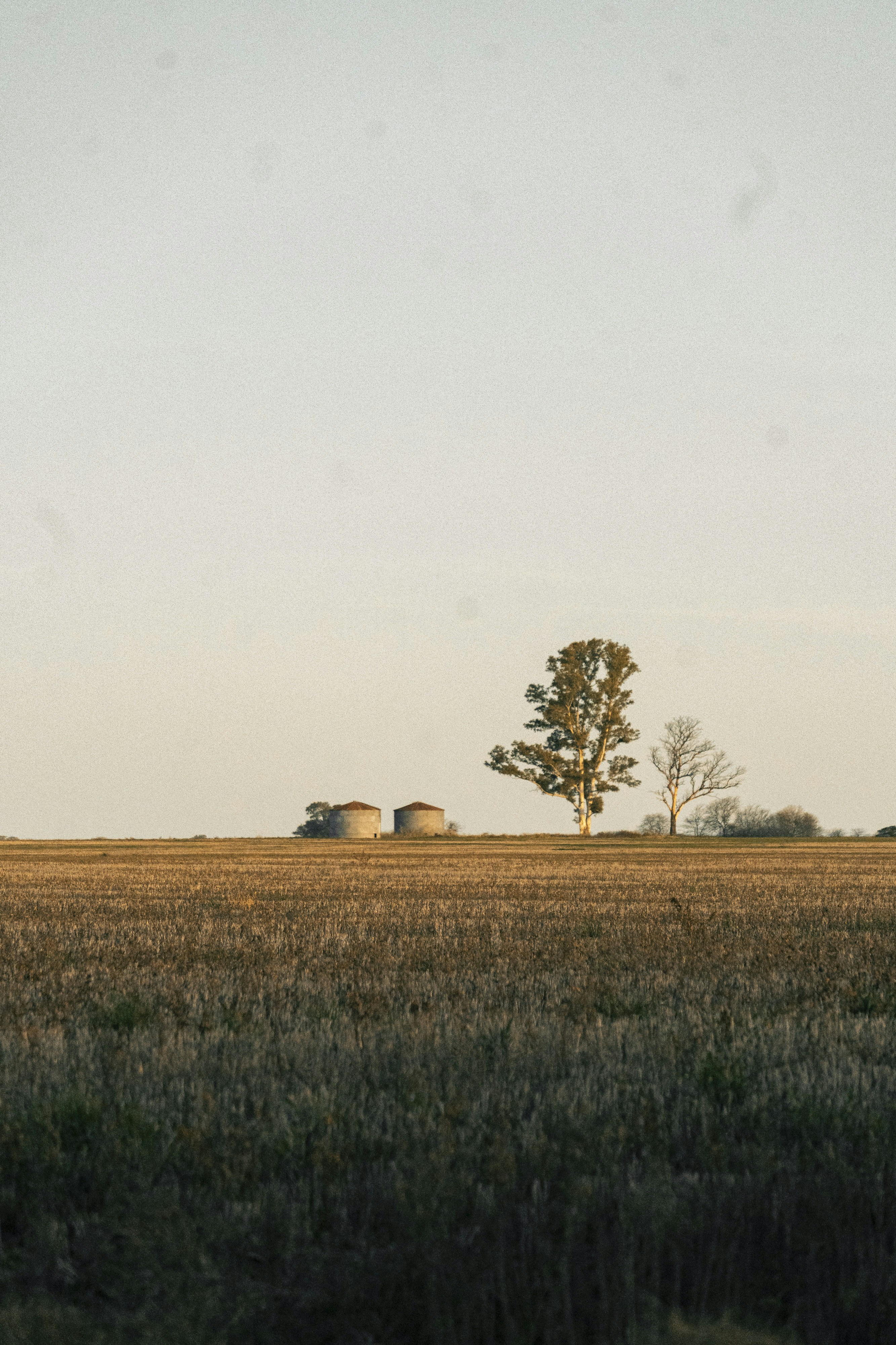 Whispers of the Past: A Rural Landscape
