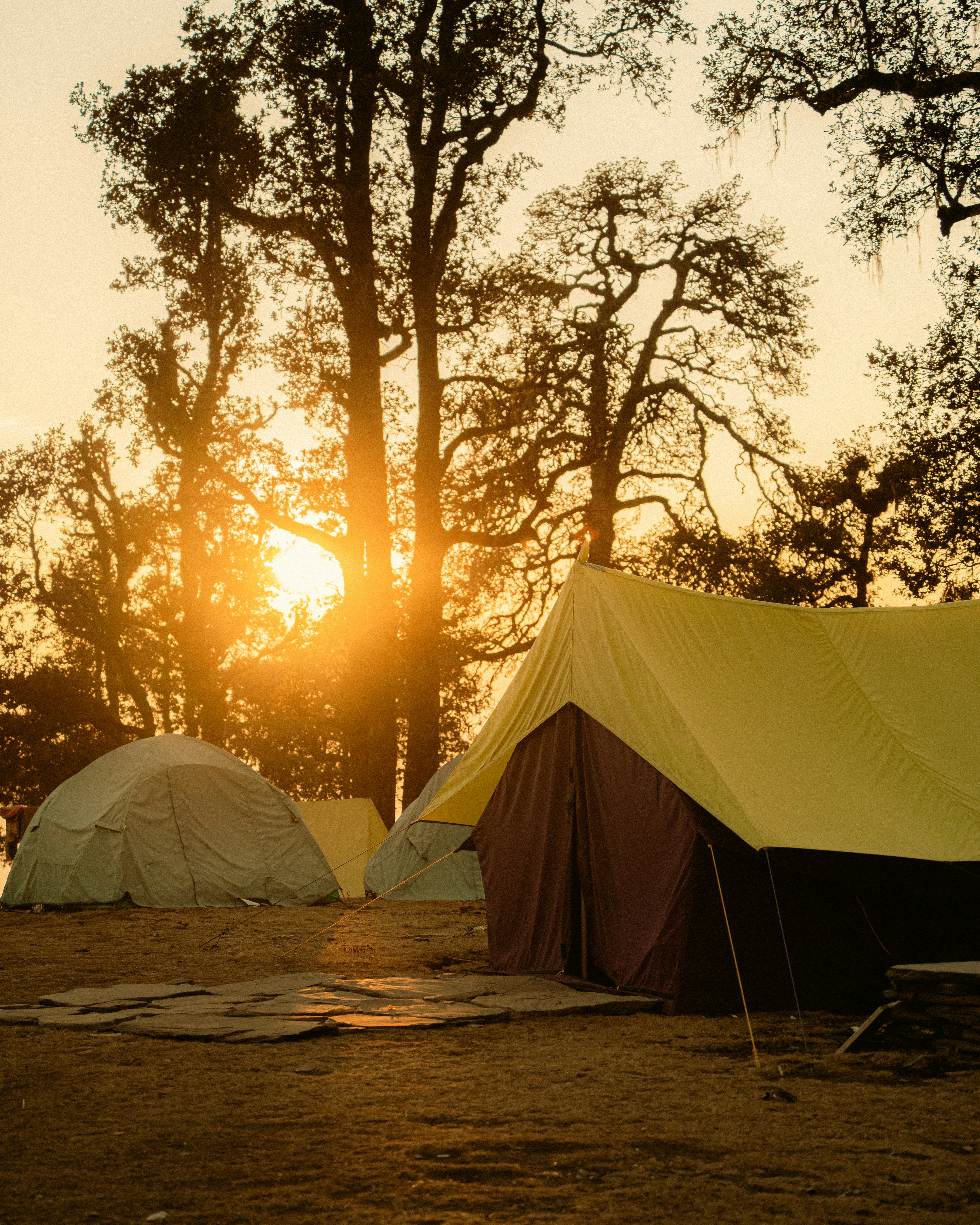 Camping tents are lit by the warm sunrise.