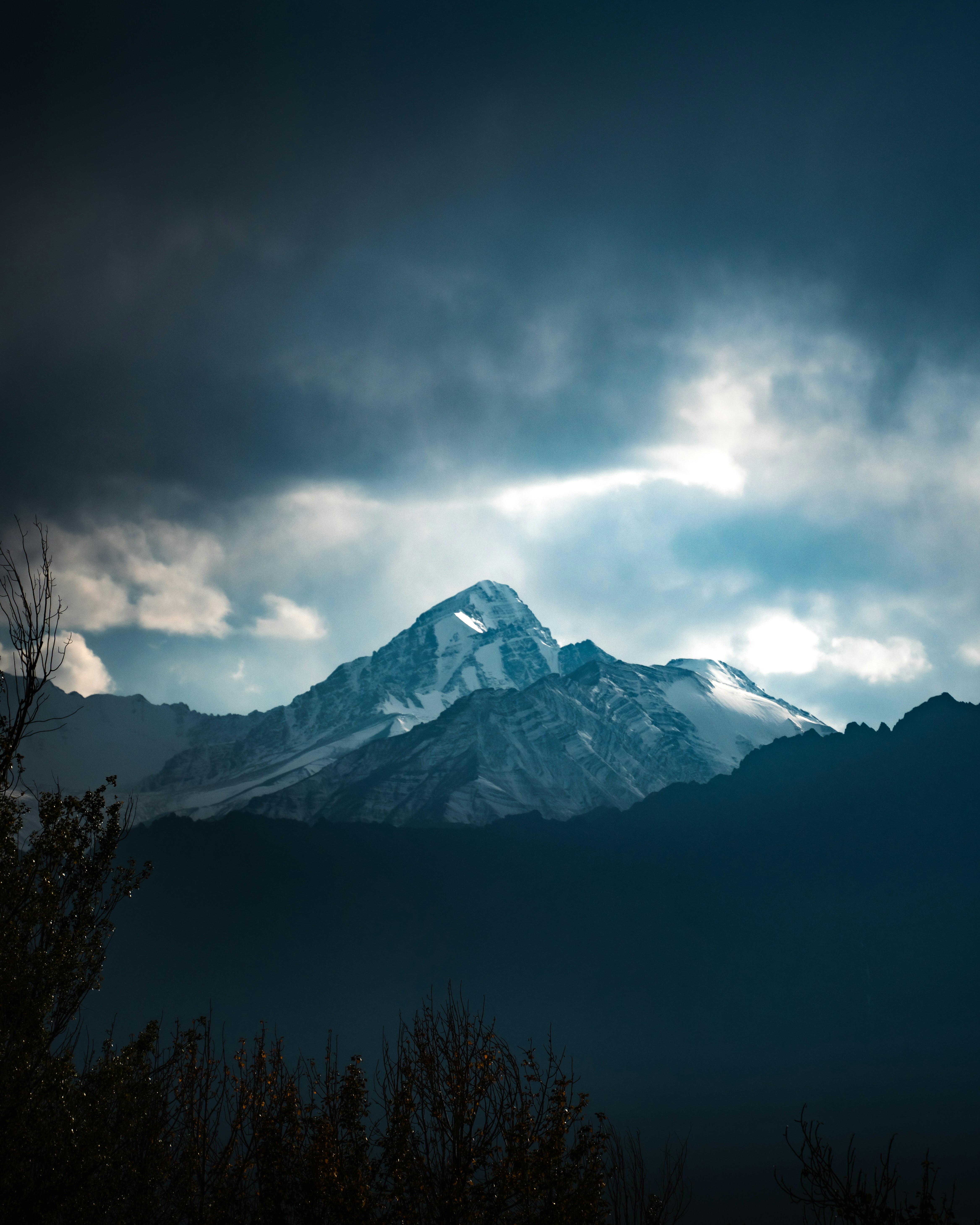 Snow-capped peaks emerge from a veil of clouds, framed by dark silhouettes of trees in the foreground. The scene conveys a sense of tranquility and majesty.