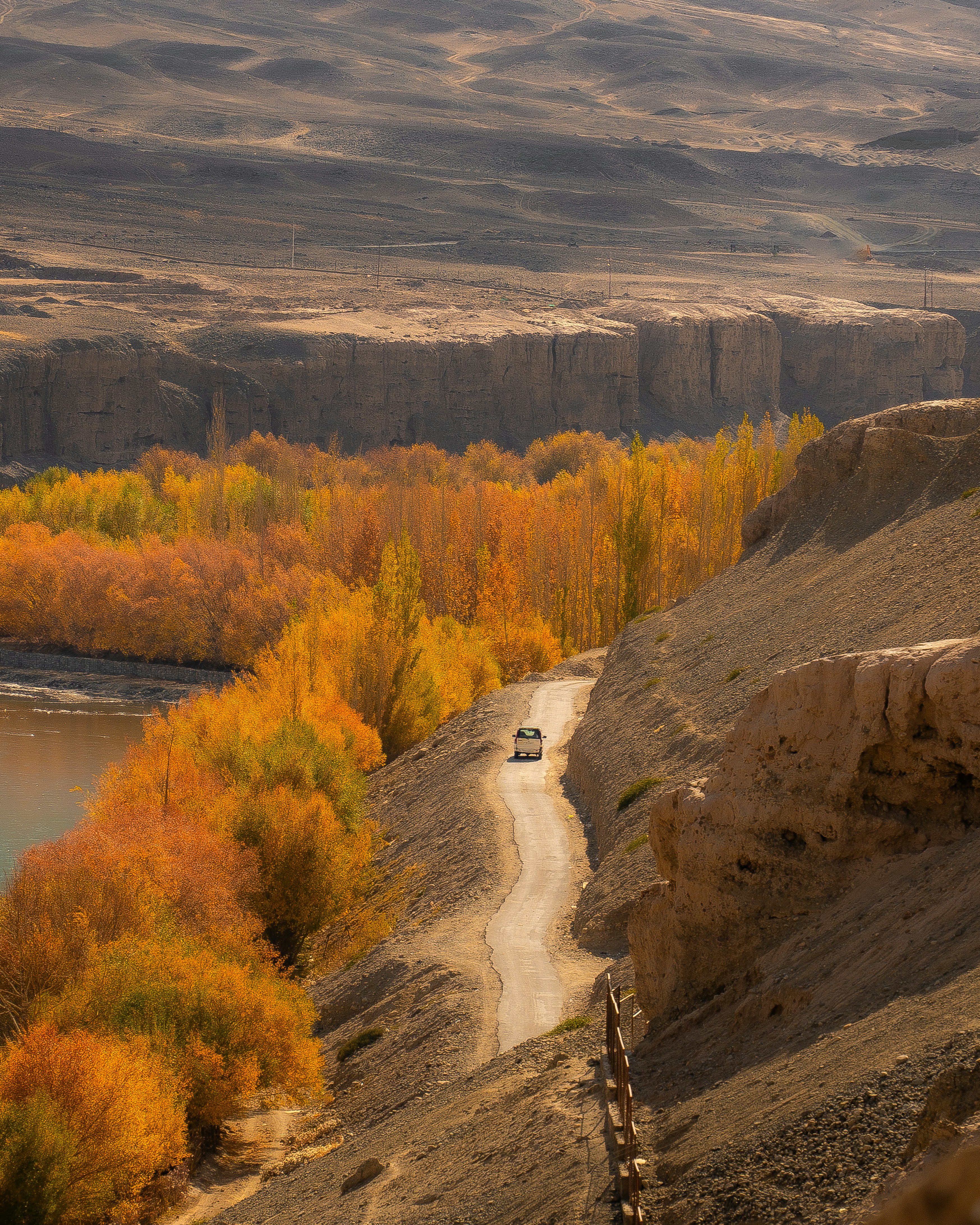 Autumn's Embrace Along the Winding River