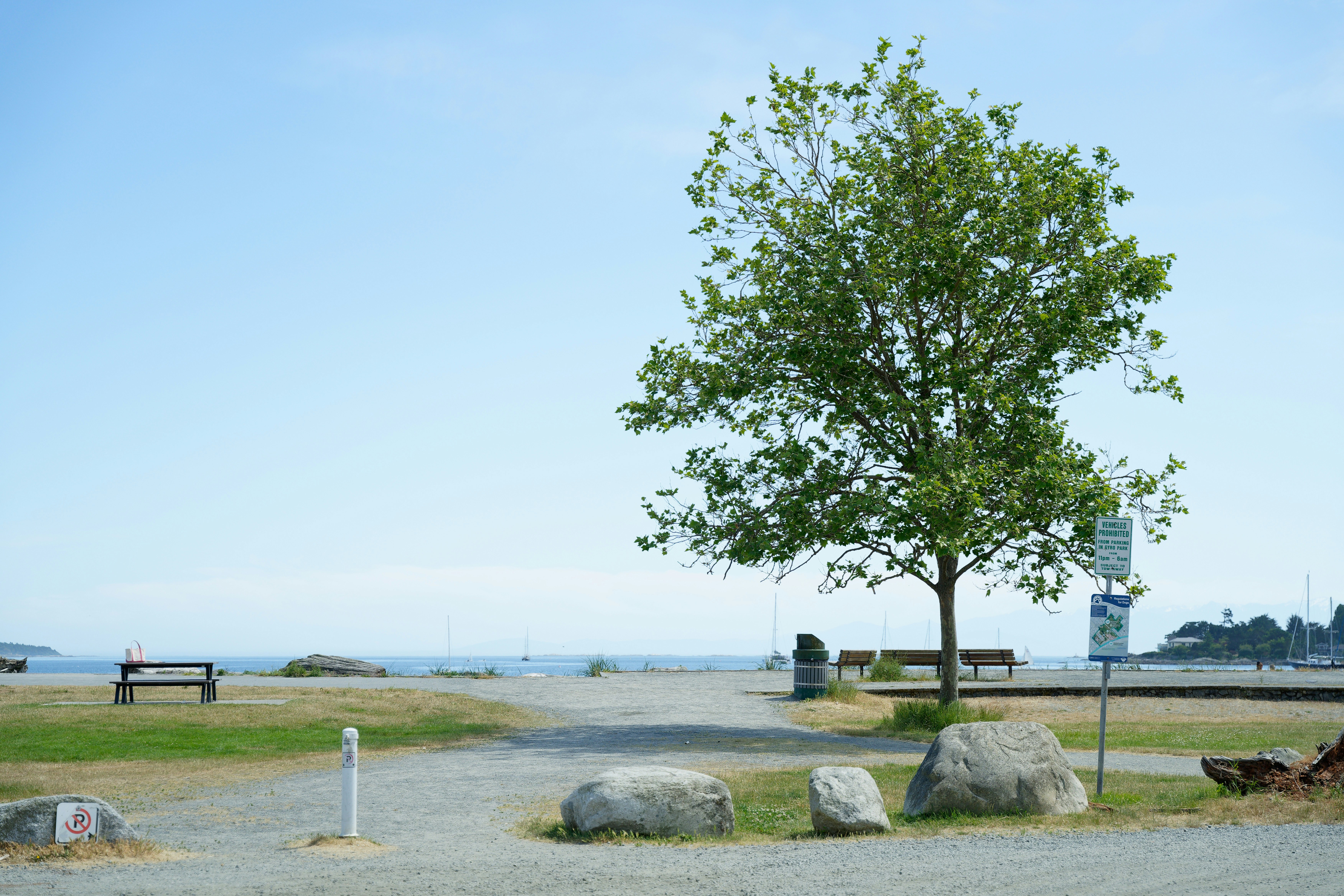 Serenity by the Shoreline