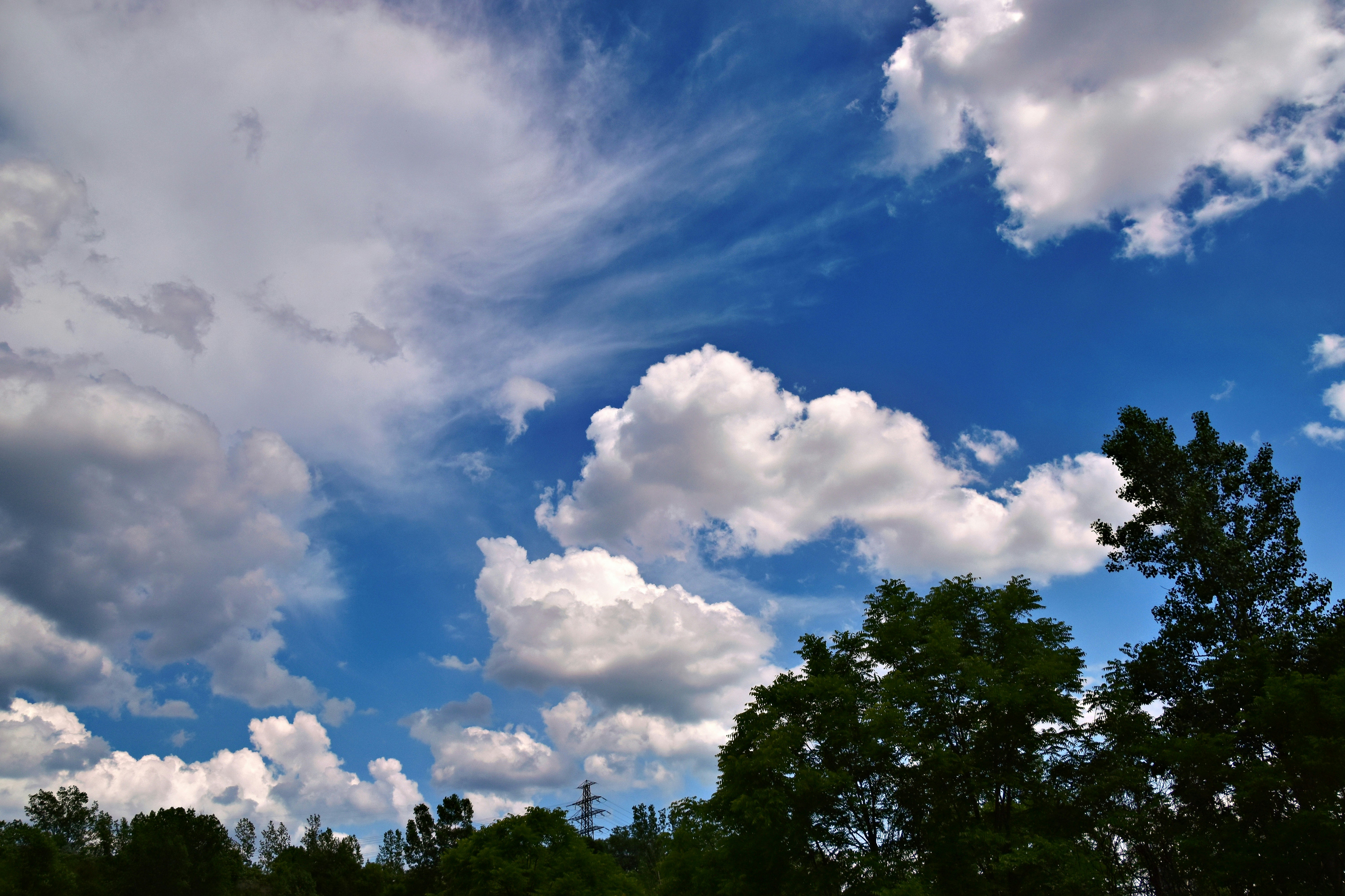 Fluffy white clouds drift across a vibrant blue sky, framed by silhouettes of trees below. A serene atmosphere is evoked.