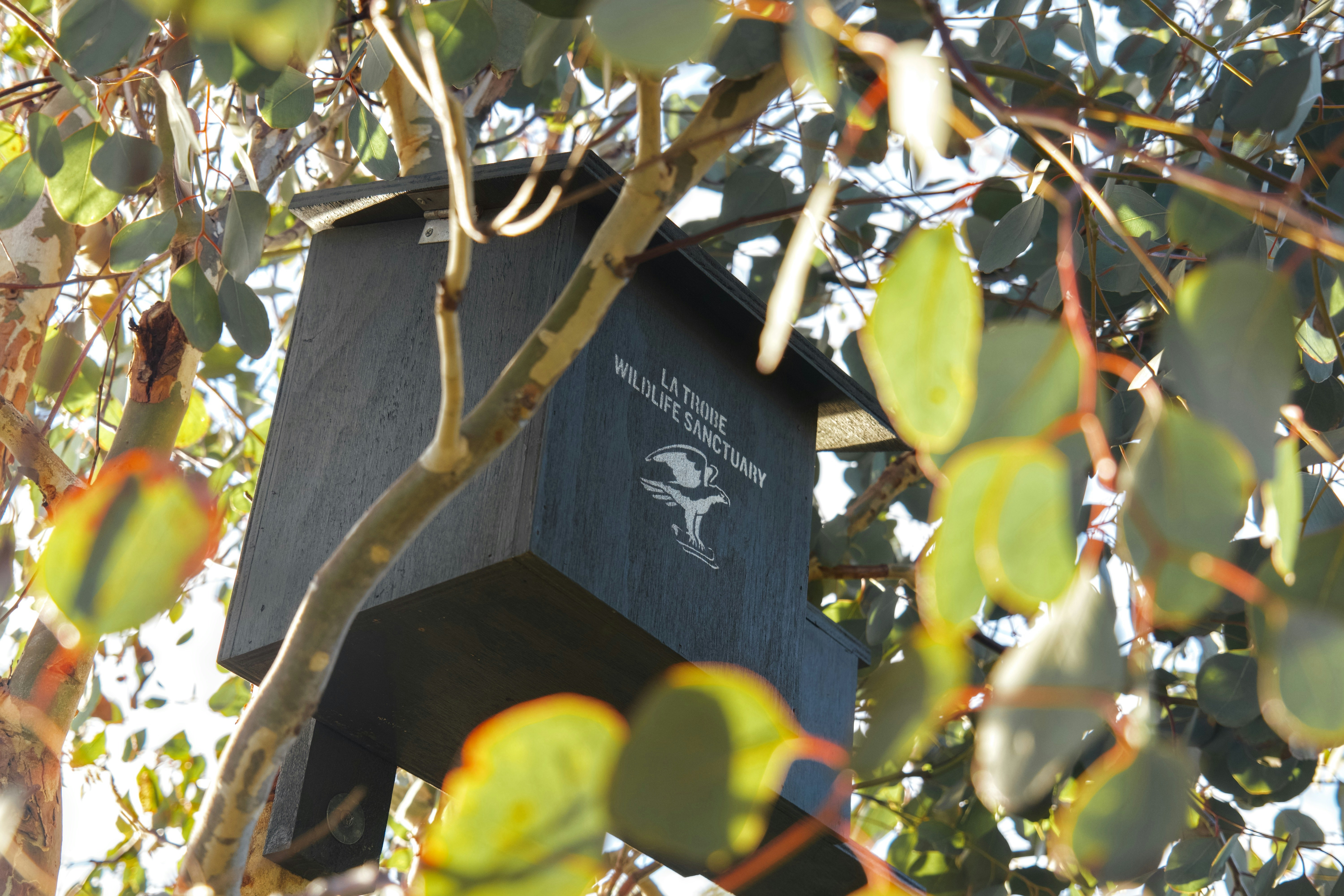 Nestled Sanctuary: A Home for Nature's Residents