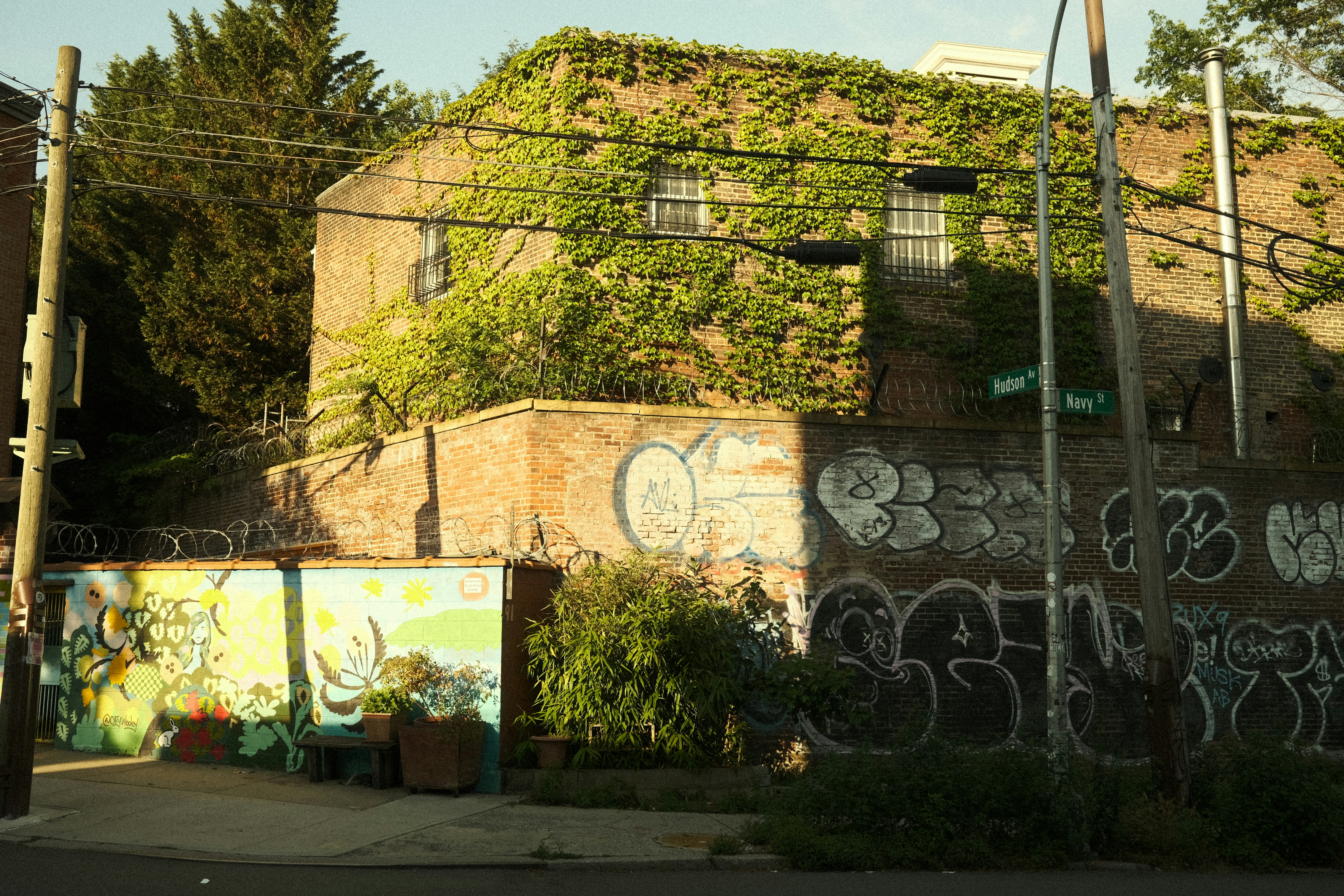 Urban Wilderness: Nature's Embrace on City Walls