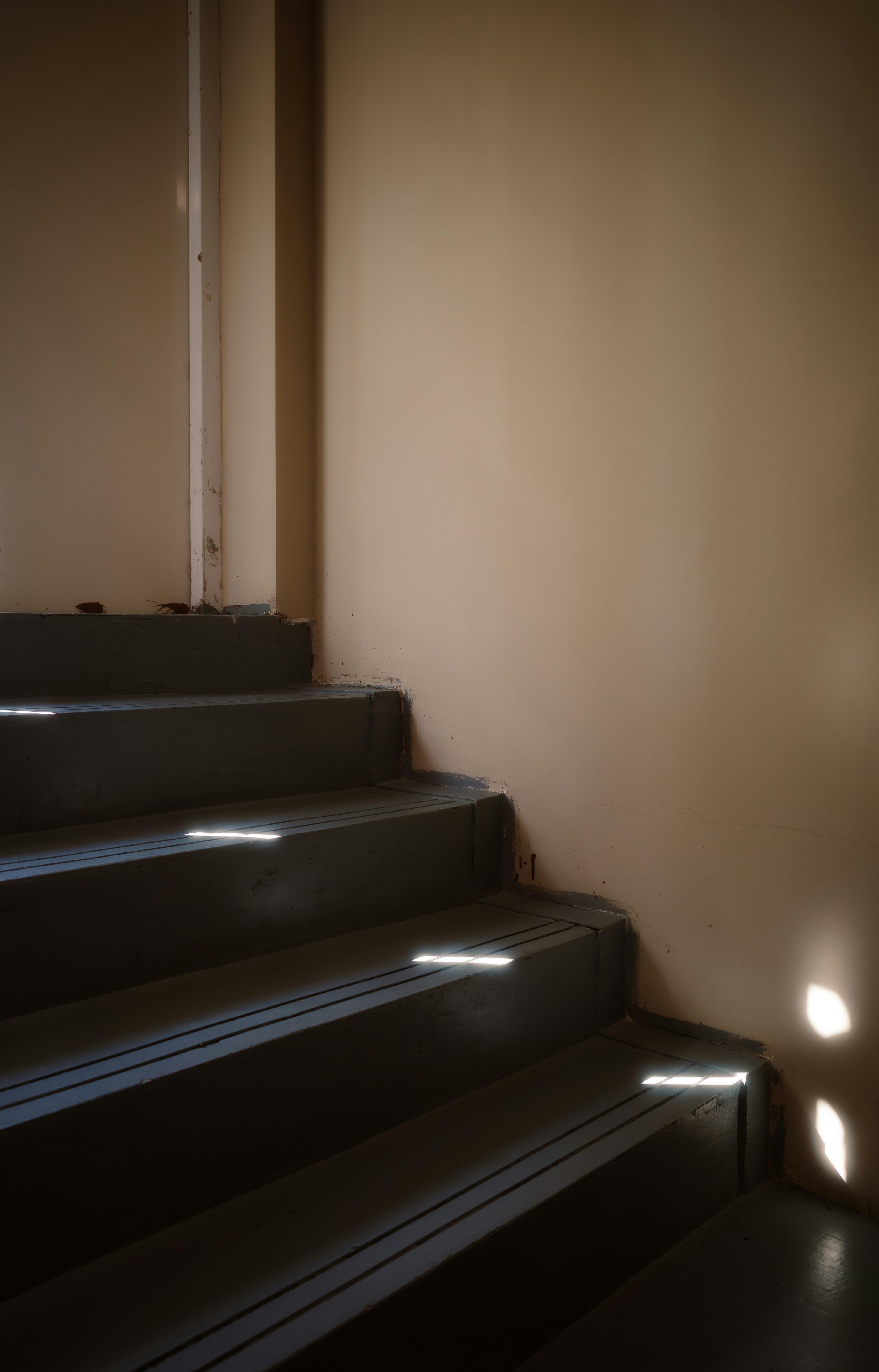 Photo by Declan Sun with Ricoh GR III HDF